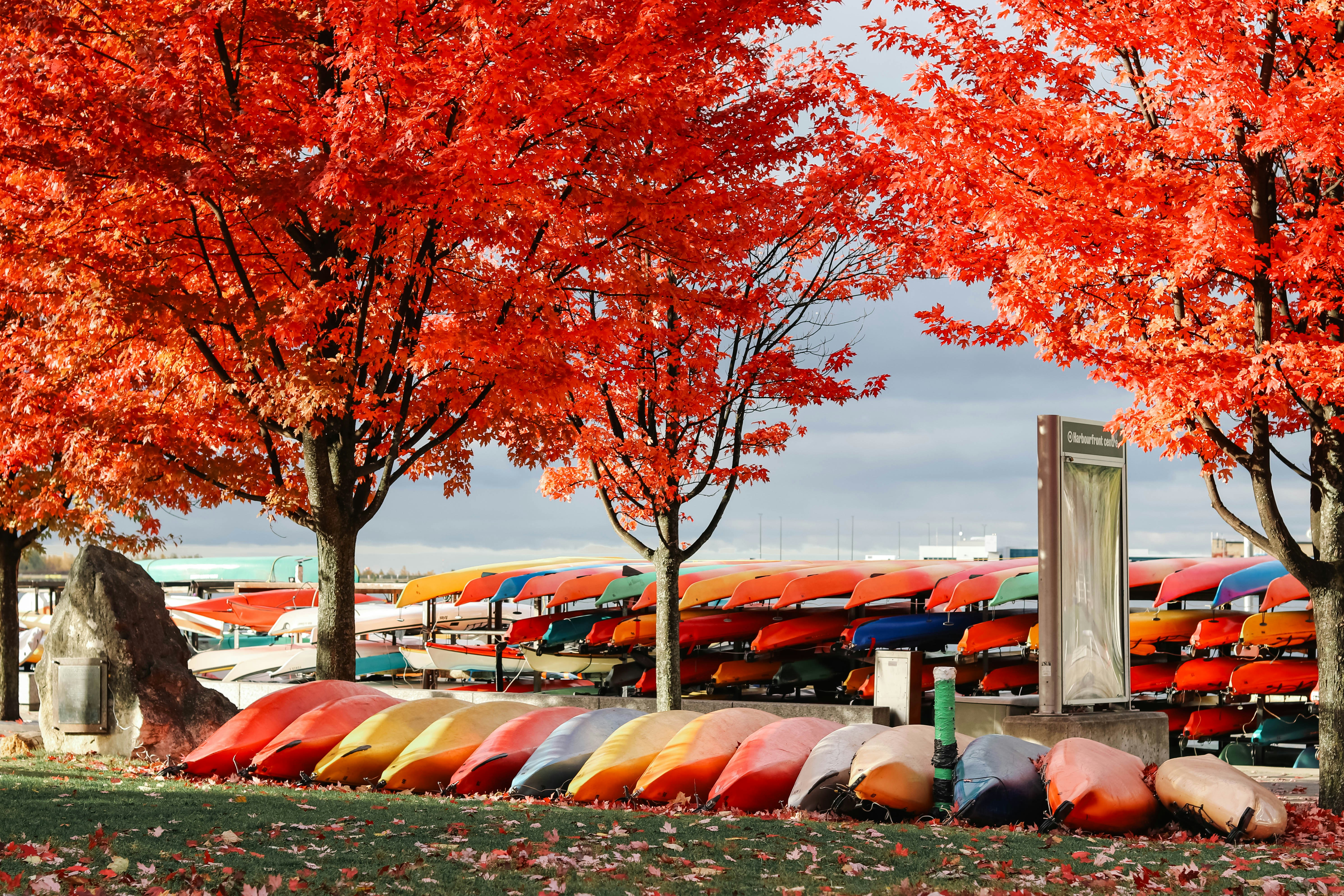 Canoe Colonnade Beneath Ember Trees