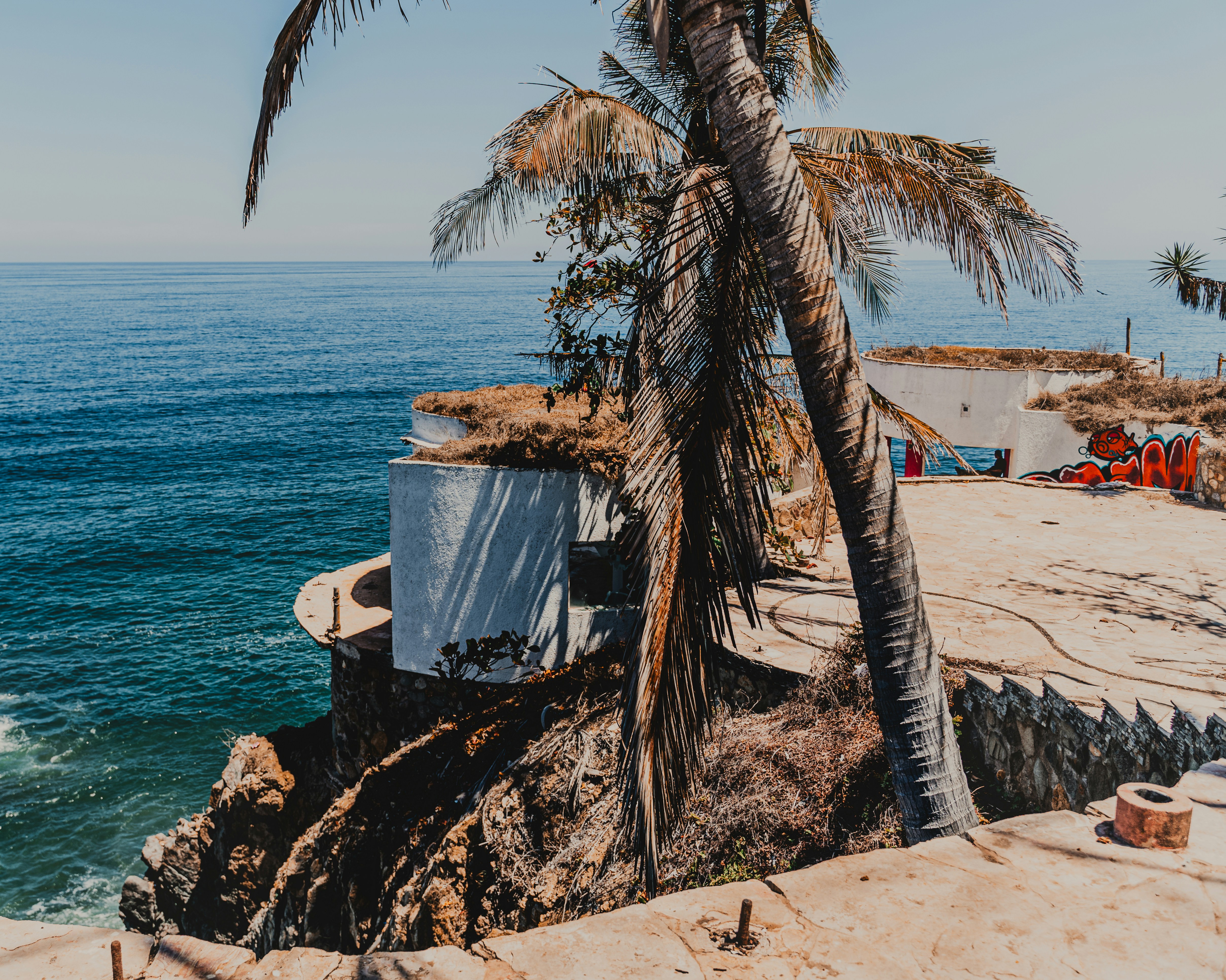 Leaning Palm at the Edge: Sunlit Terrace Over a Turquoise Sea