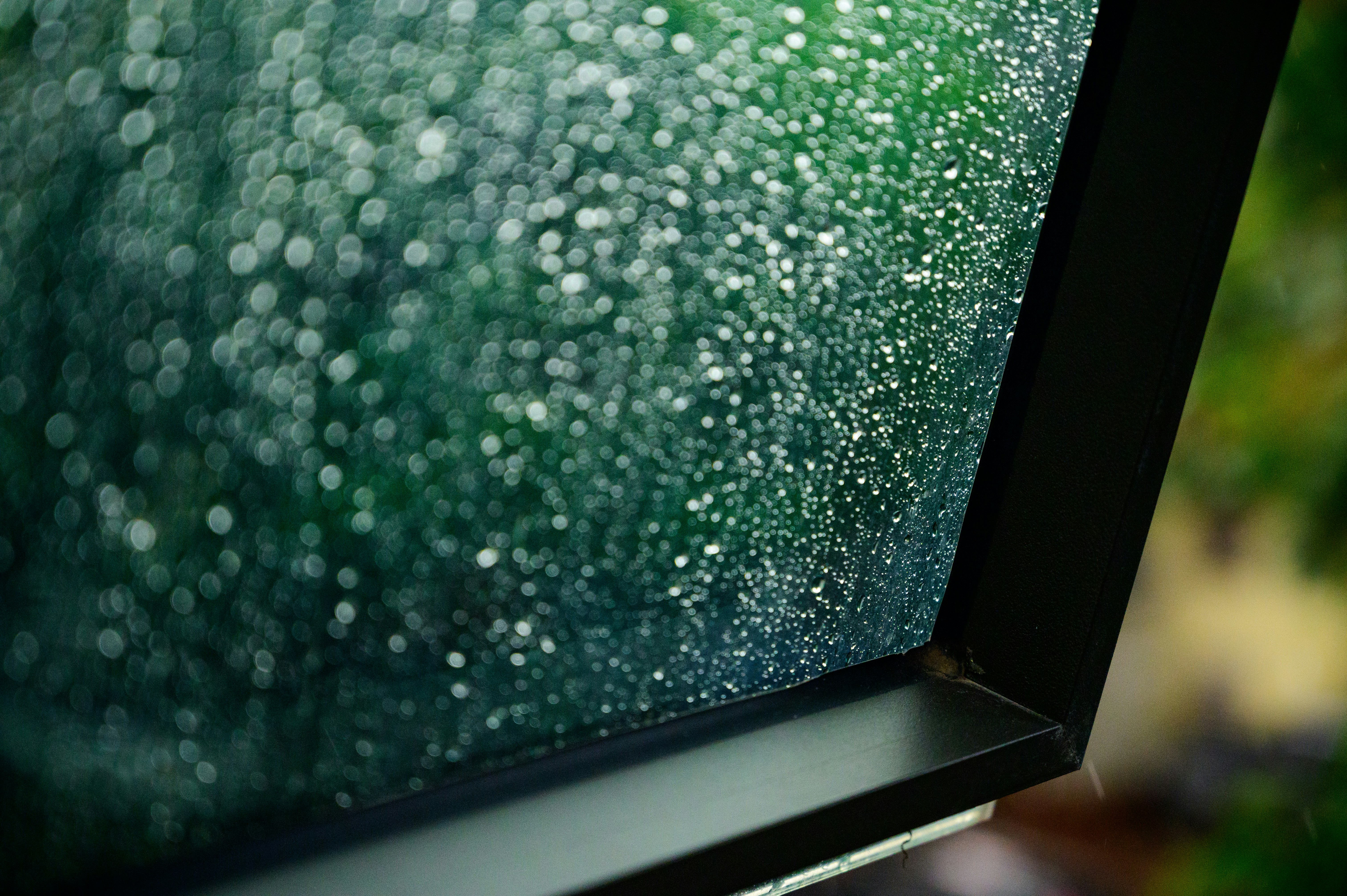 Dew-Crowned Glass: Rain on a Framed Window Pane
