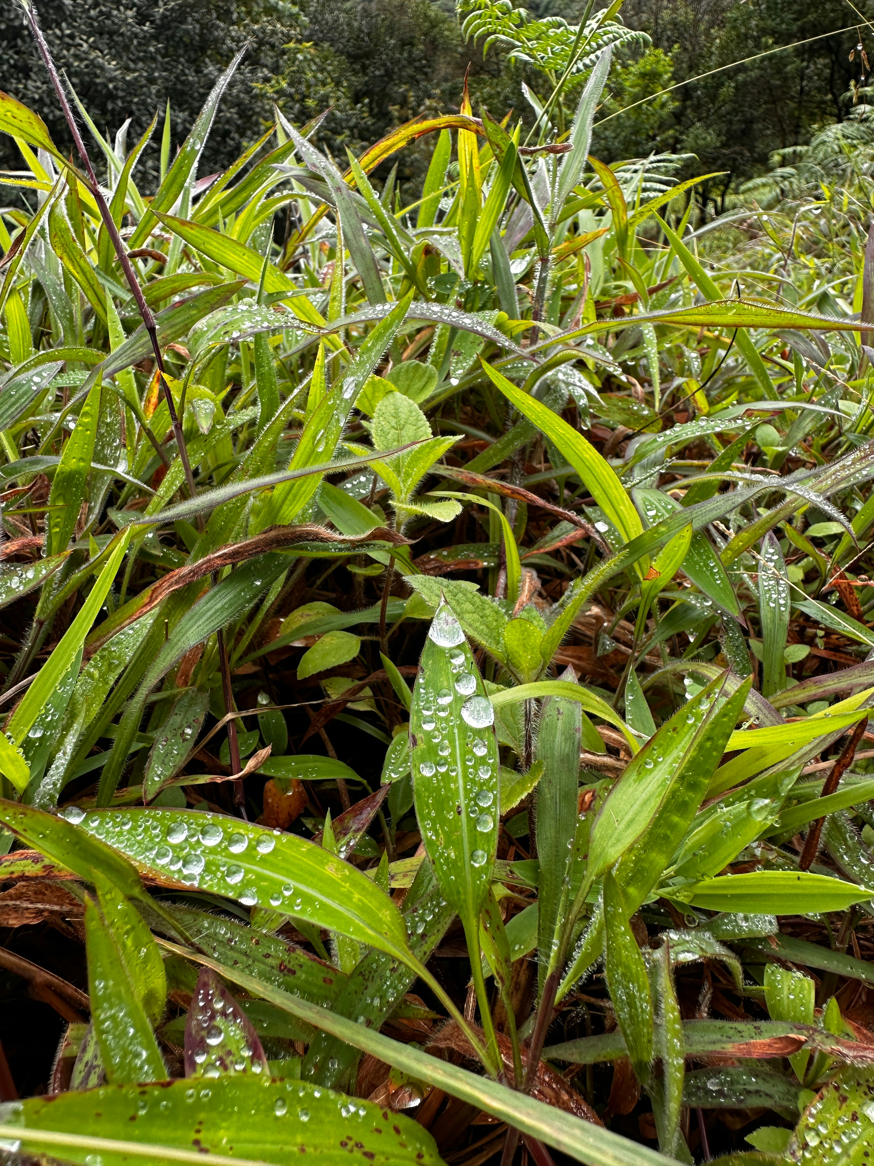 Sharhan Raghav J (@iris_photography) | Unsplash Photo Community