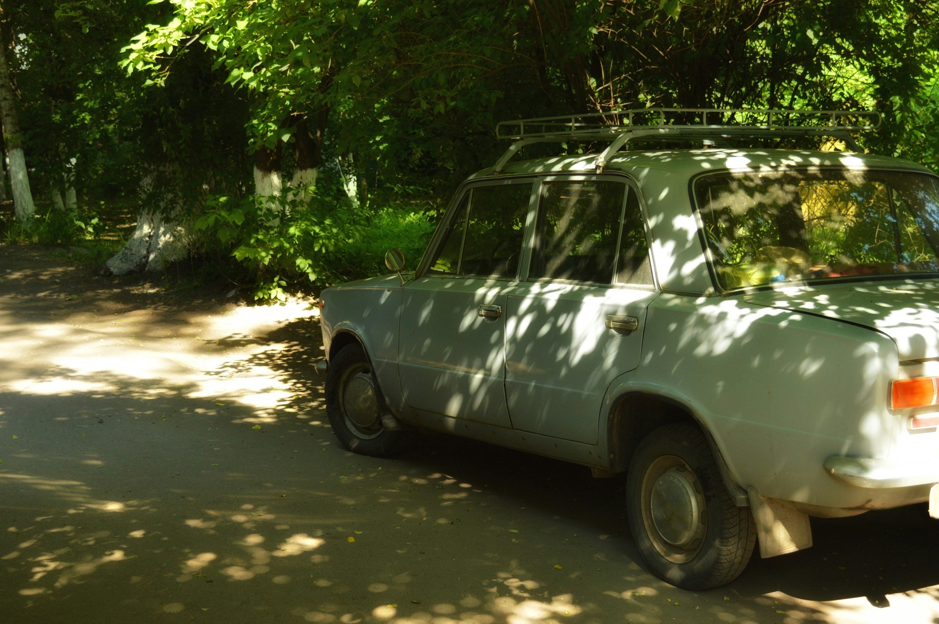 Dappled Light on a Weathered Station Wagon in a Tree-Lined Lot