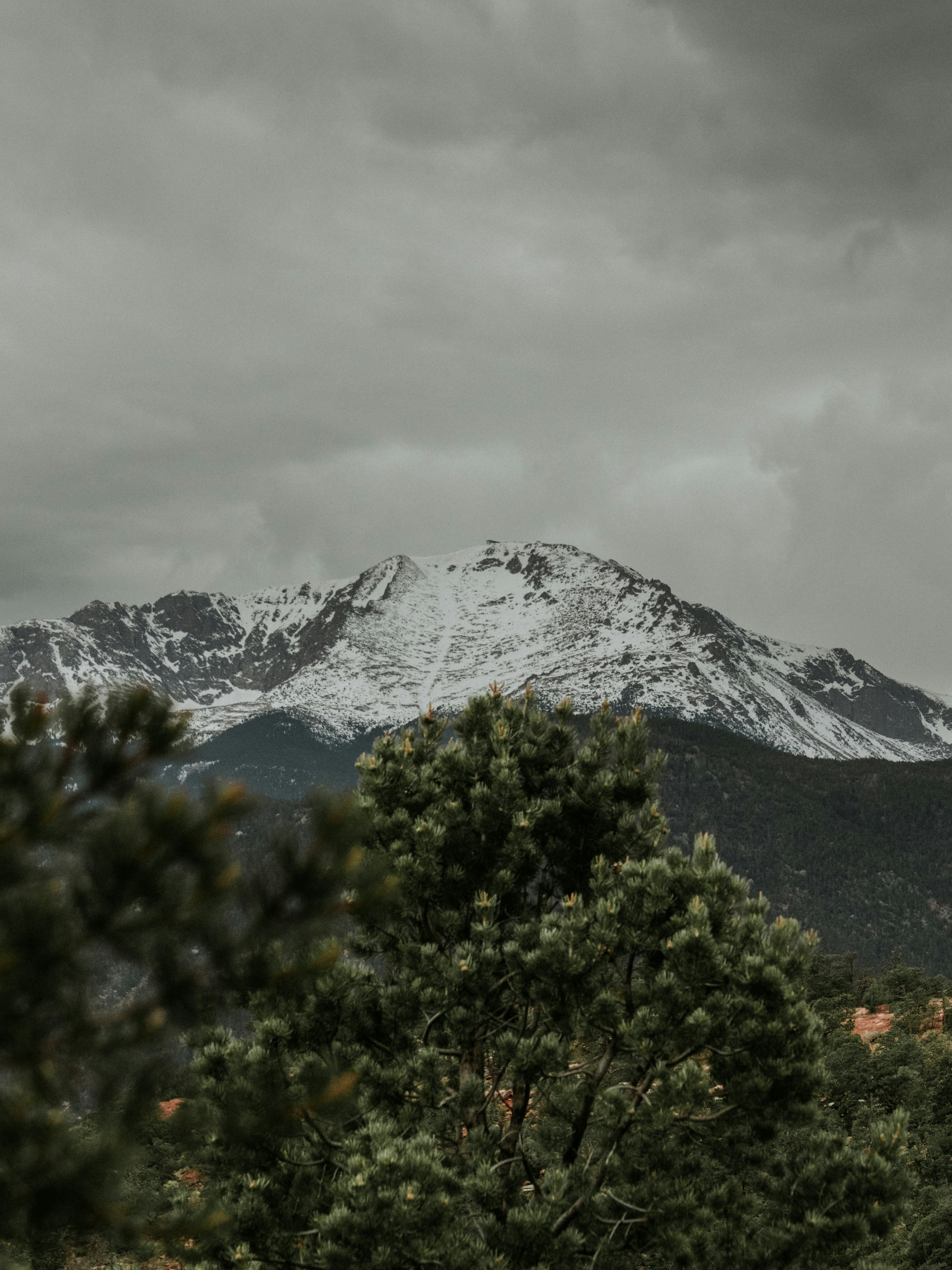 Whispers of the Alpine Majesty