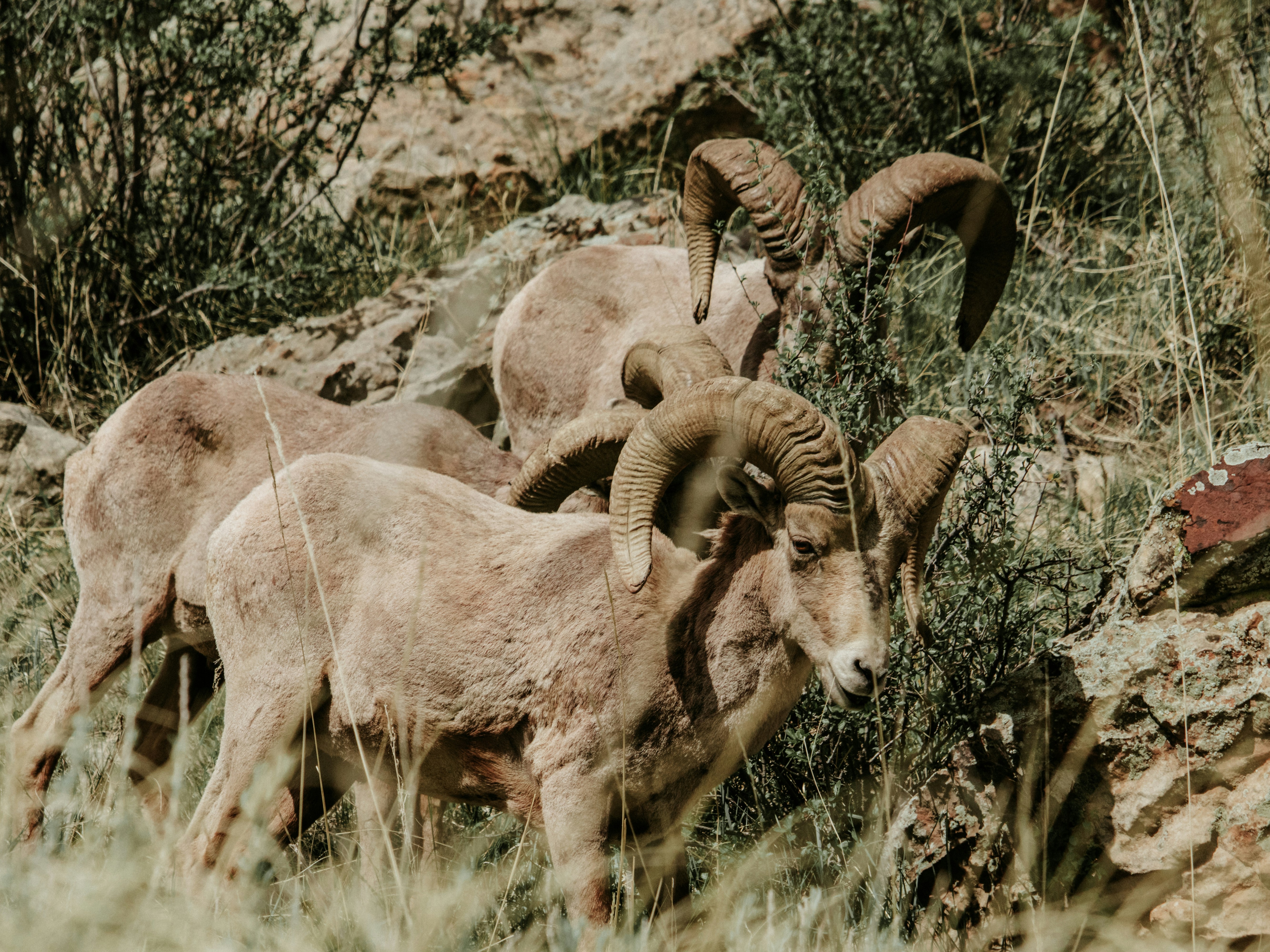 Photo by David Santoyo with Canon EOS 77D