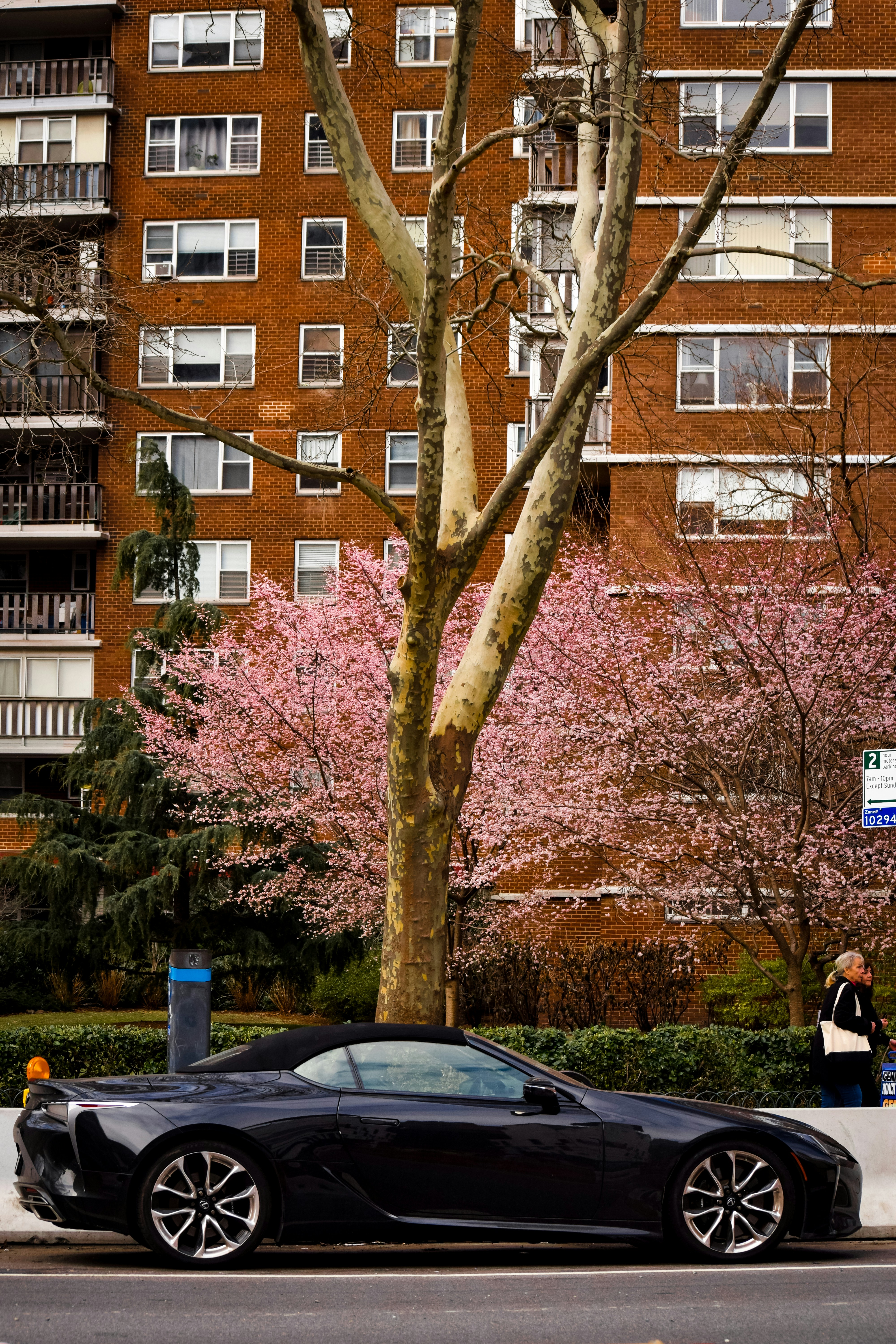 Urban Elegance: A Fusion of Nature and LuxuryJoe