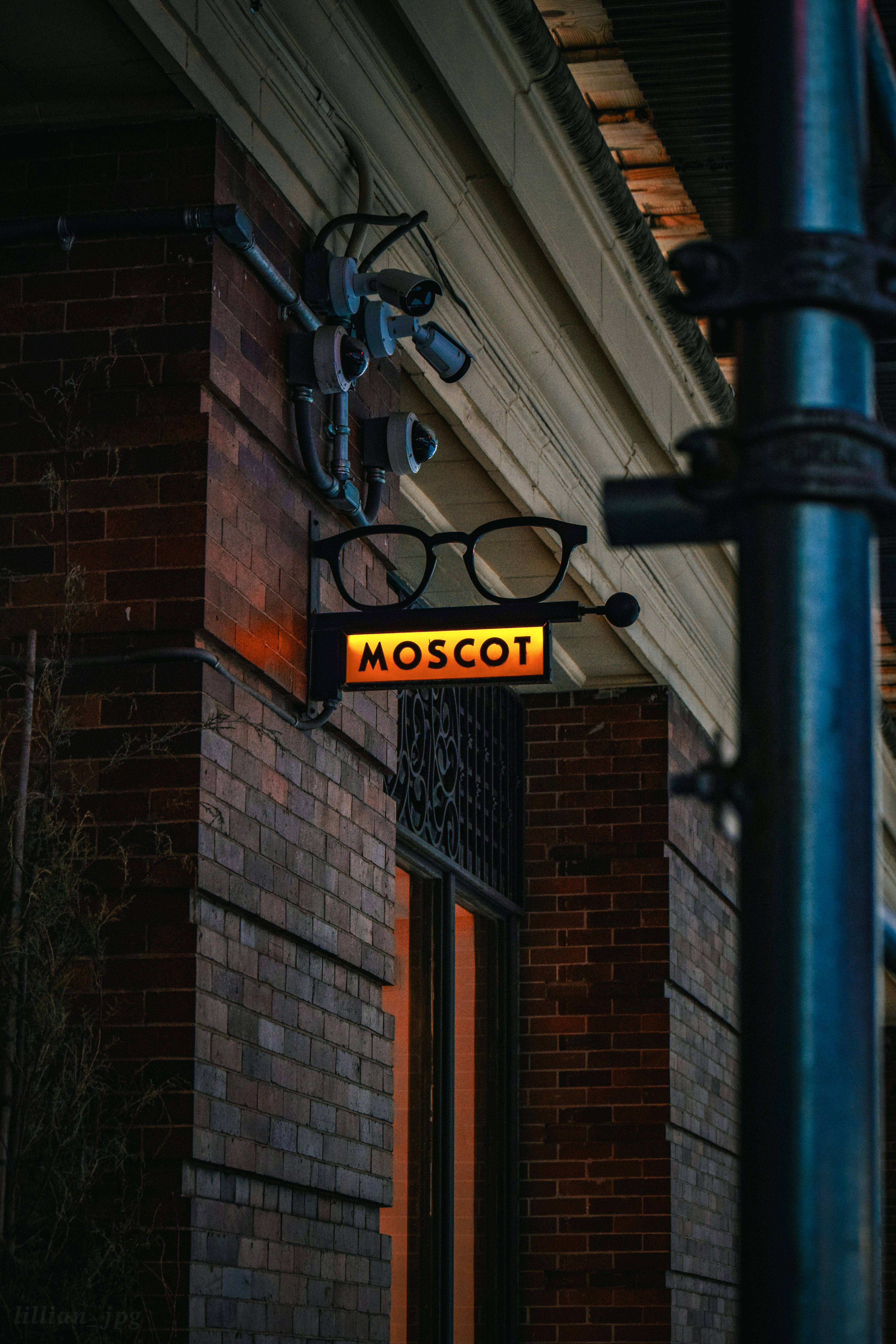 Brick and Glow: The MOSCOT Sign Under Urban Canopy