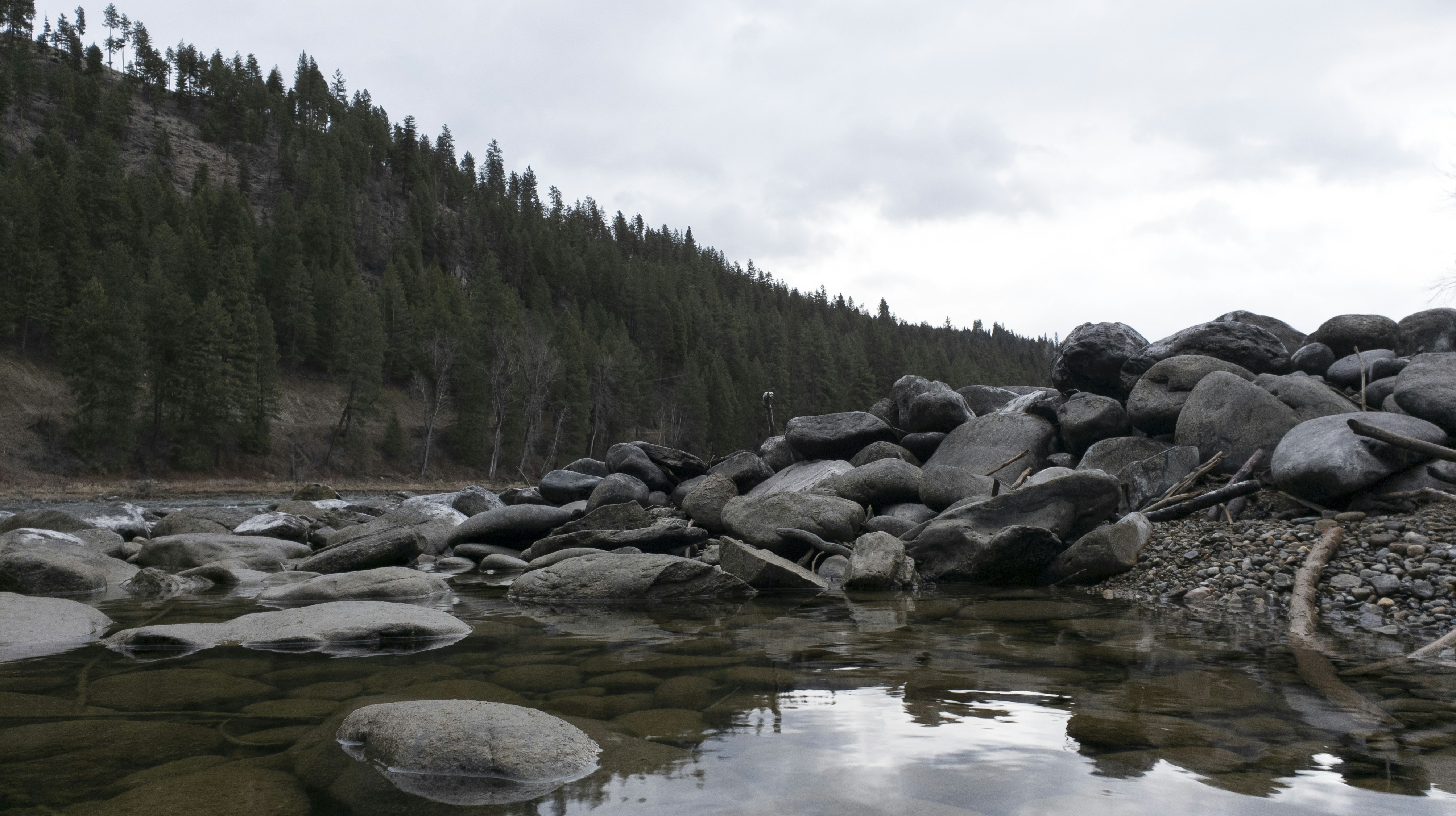 A rocky river with rocks and trees in the background photo – Free Trees ...