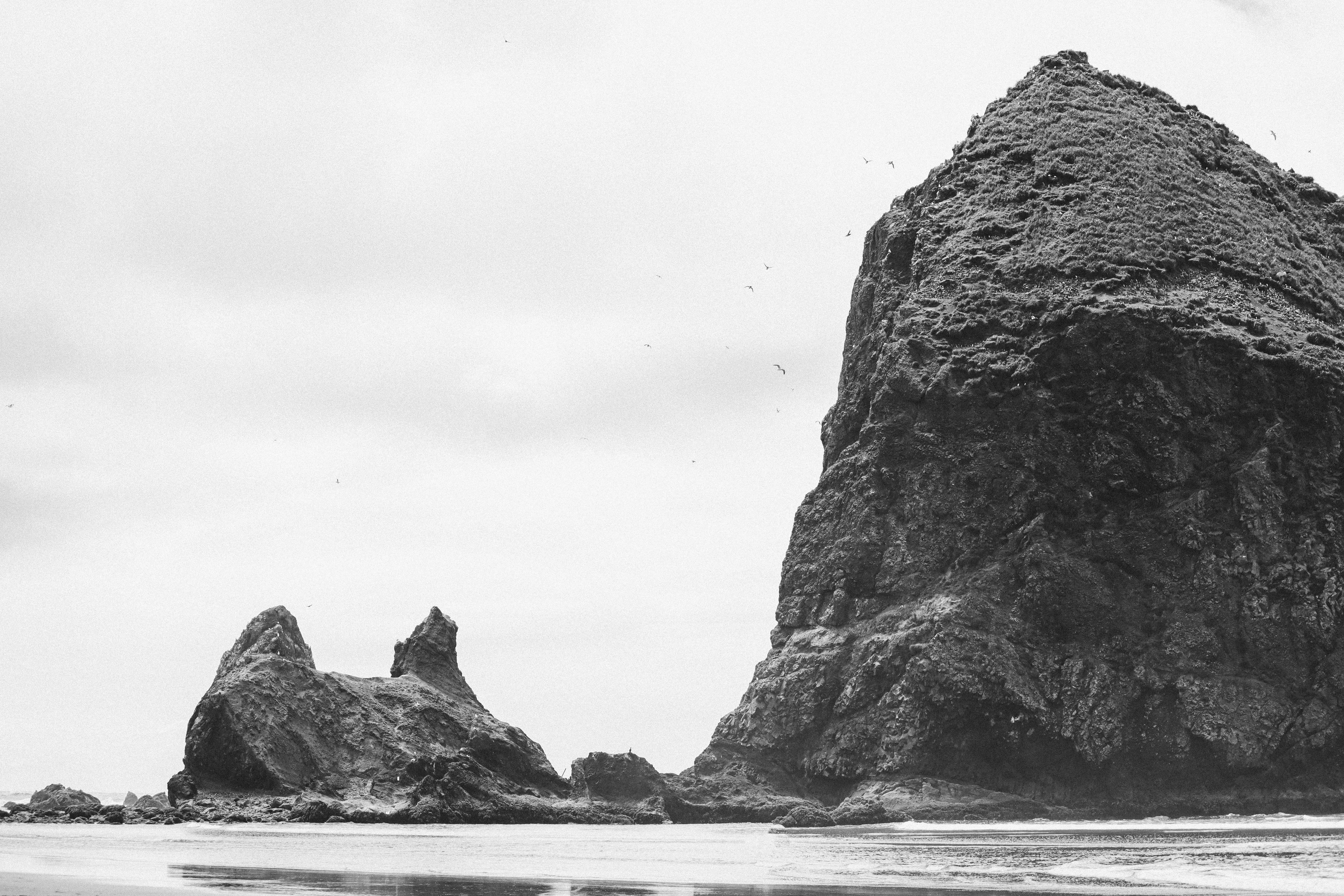 A black and white photo of a rock formation photo – Free Cannon beach ...