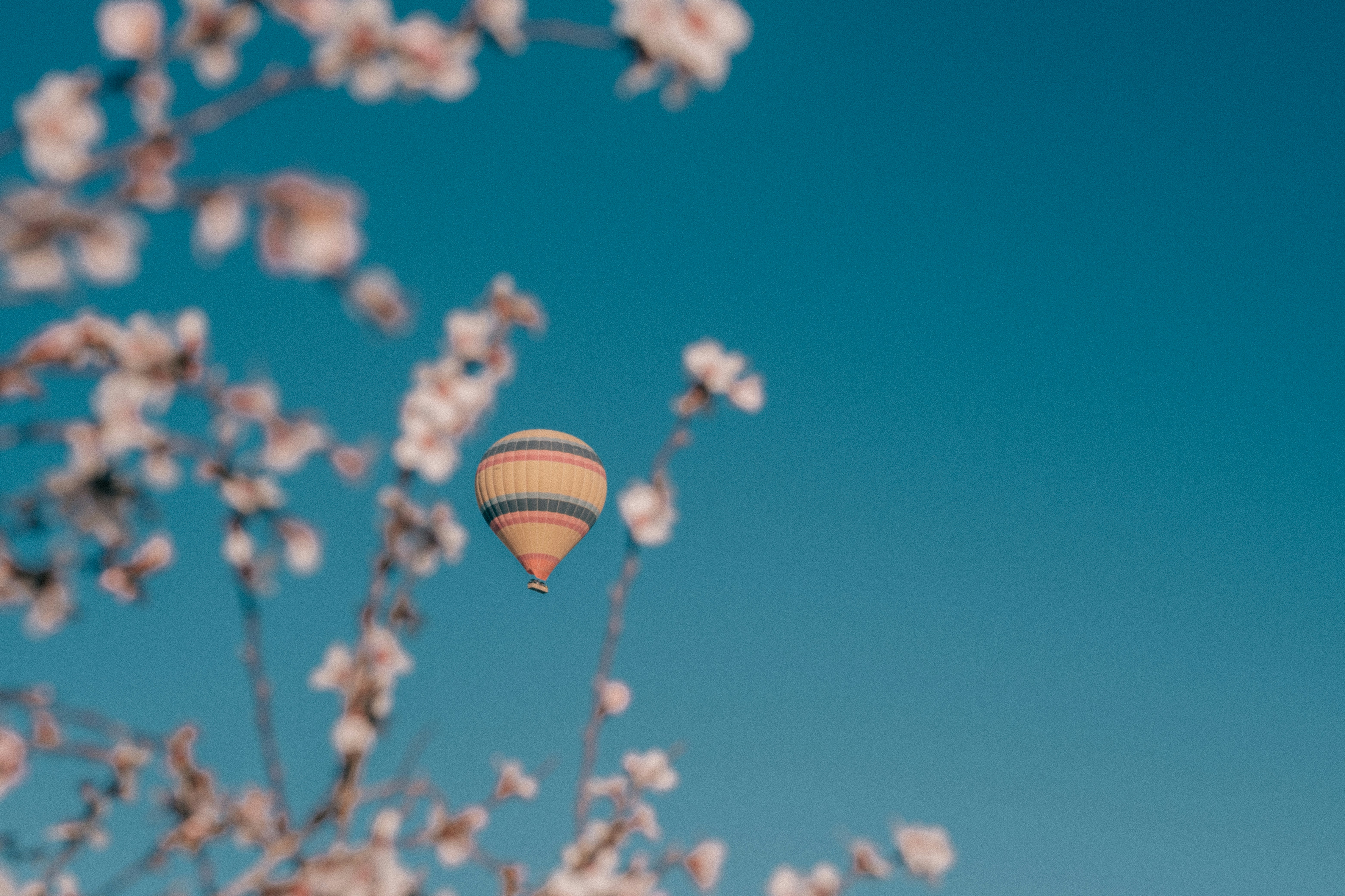 Photo by Tuna Ekici with Fujifilm X-T30