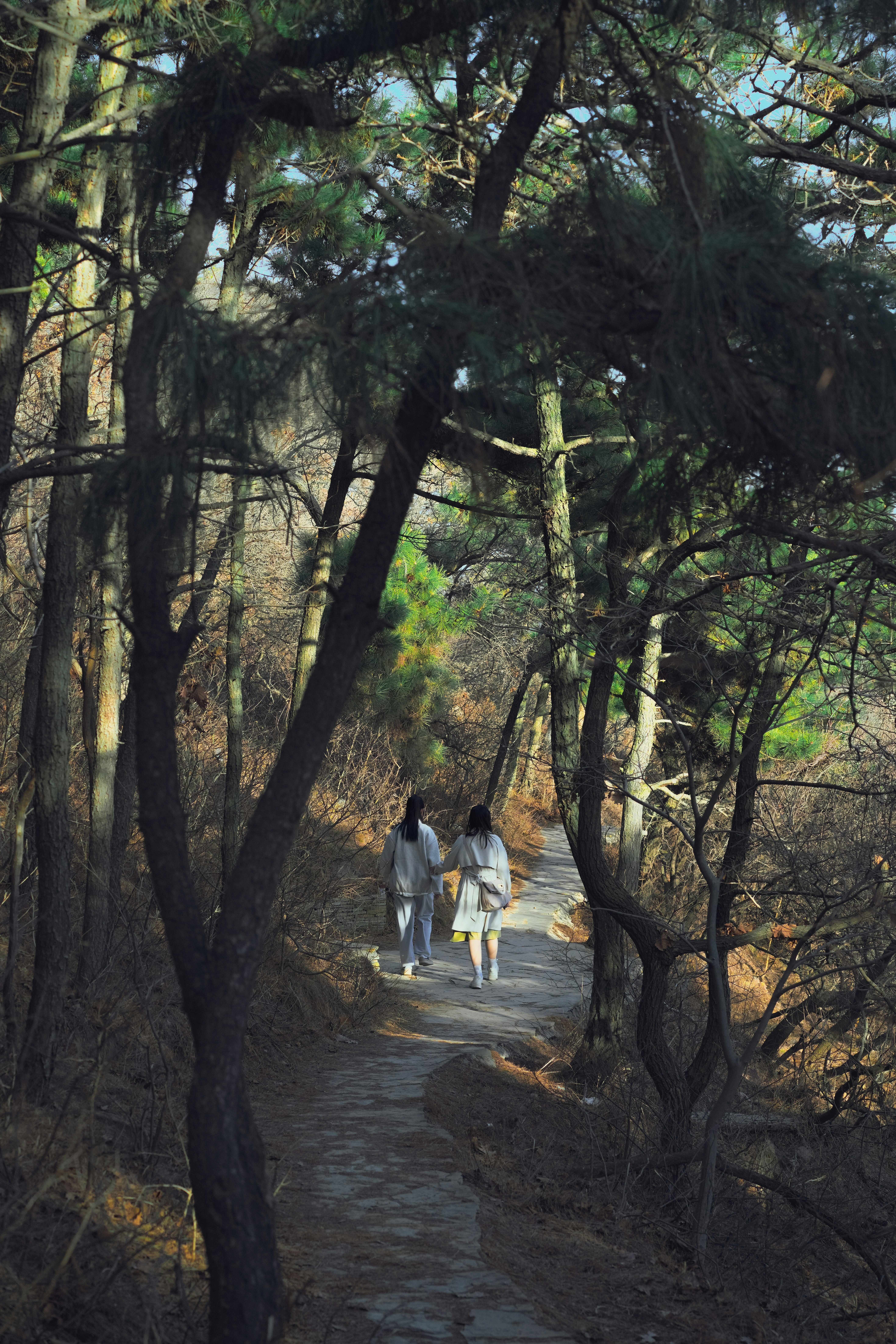 Photo by Hat Trick with Sony Alpha 7C R