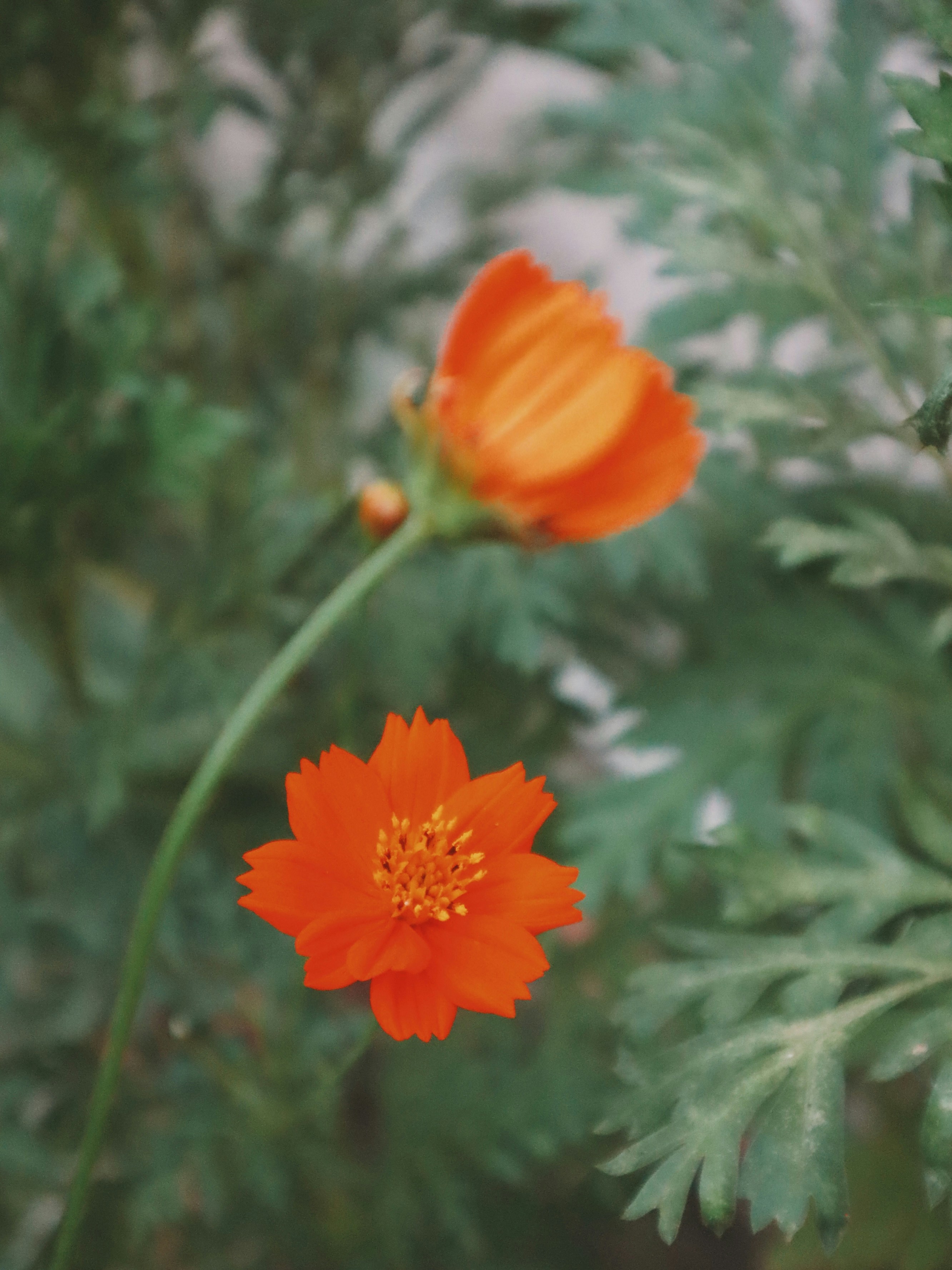 Photo by Arya Dubey with Canon EOS M50 Mark II