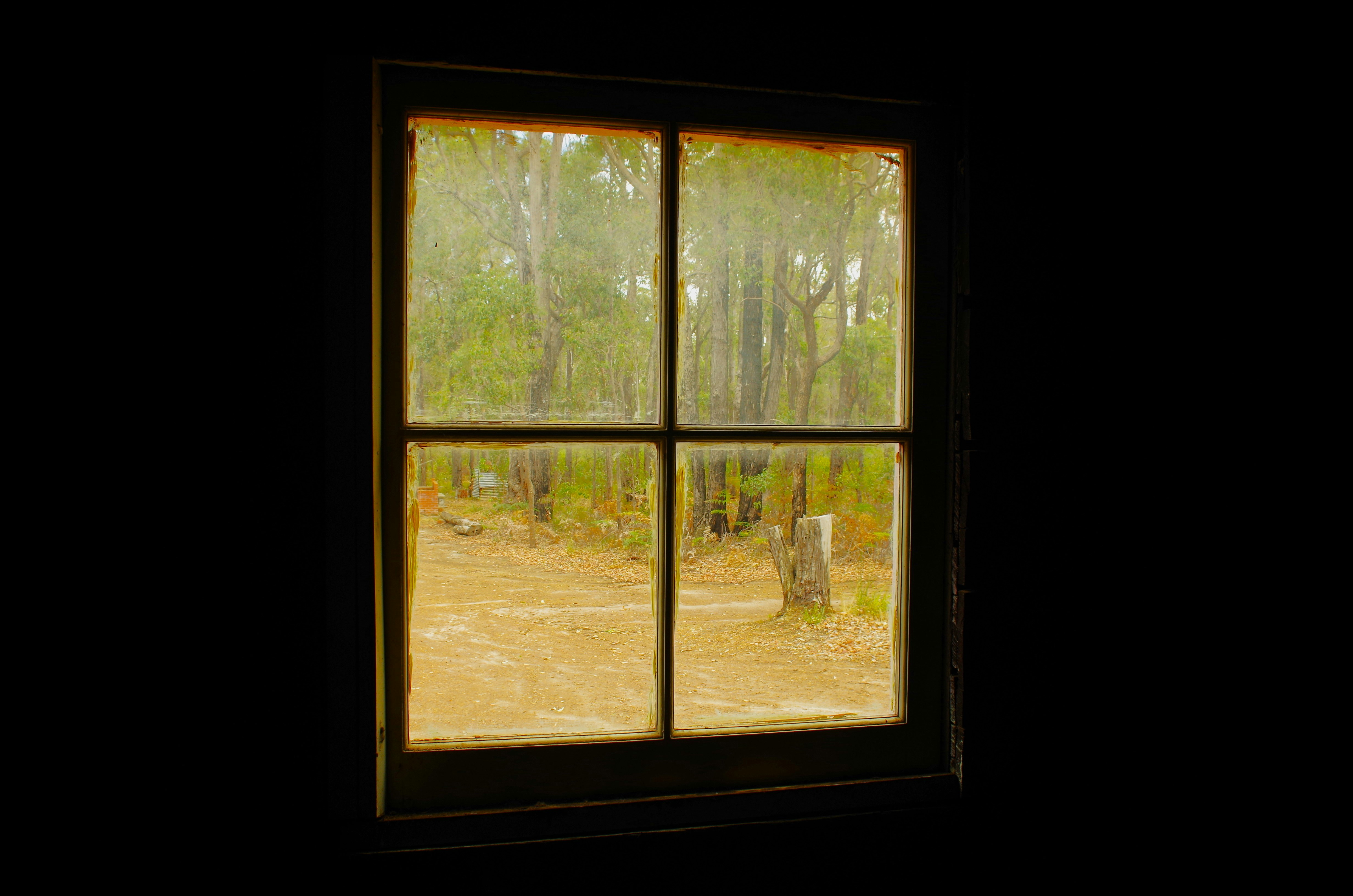 A window with a view of the woods outside photo – Free View Image on ...