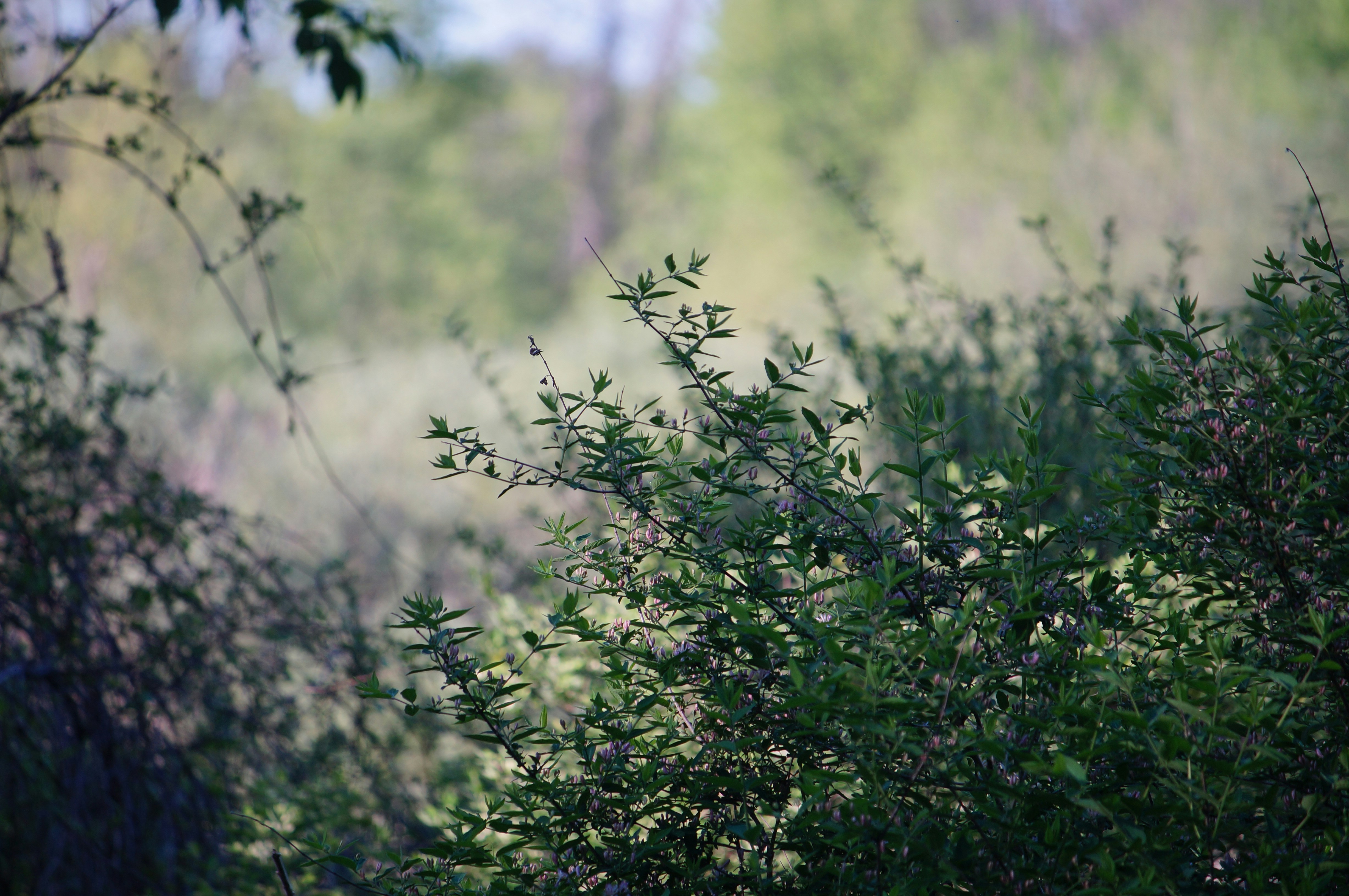 Photo by Ellienore B. with Sony NEX-3N