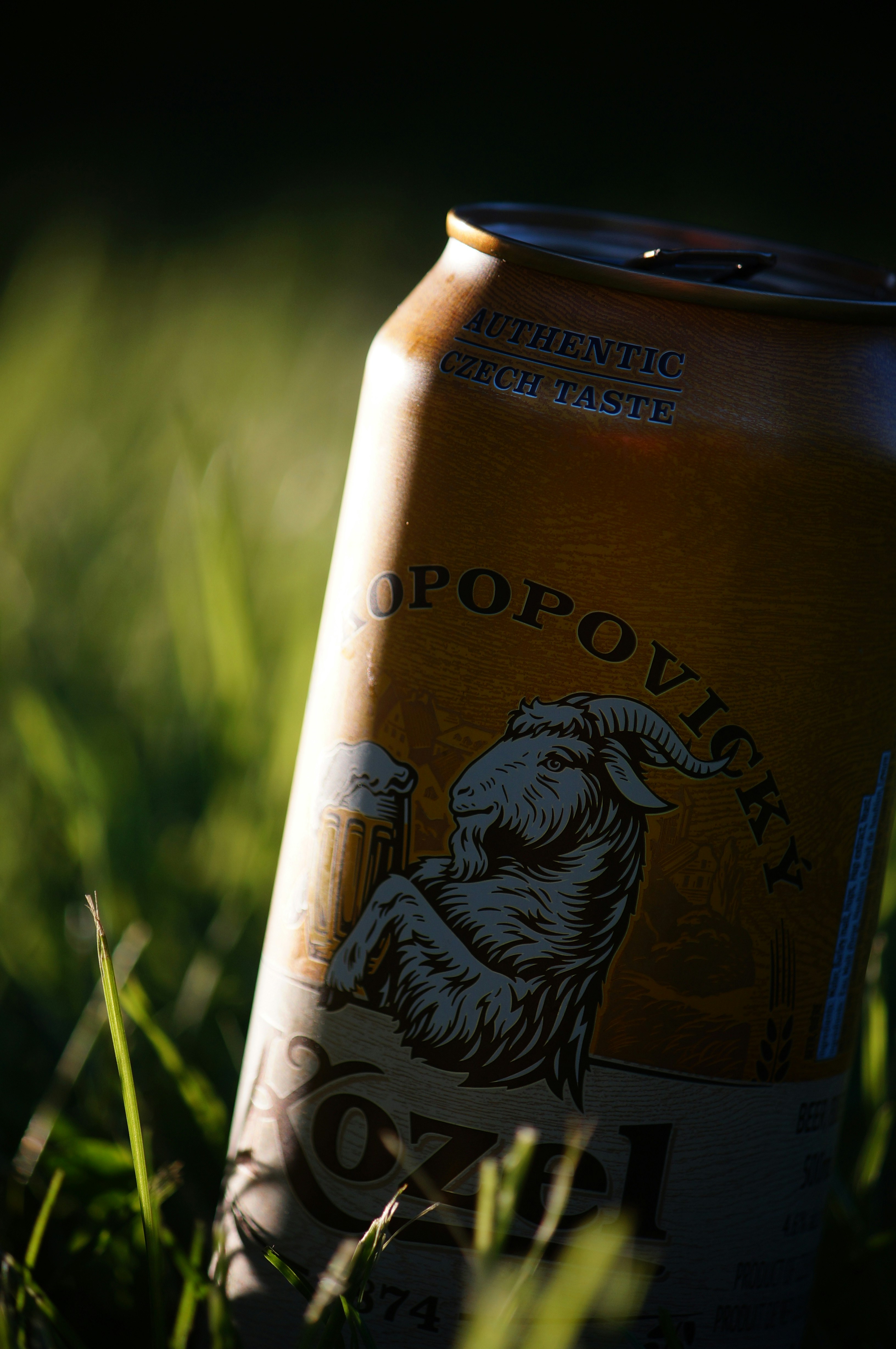 Sunlit Tilt on Kozel: A Portrait of Czech Craft in Grass