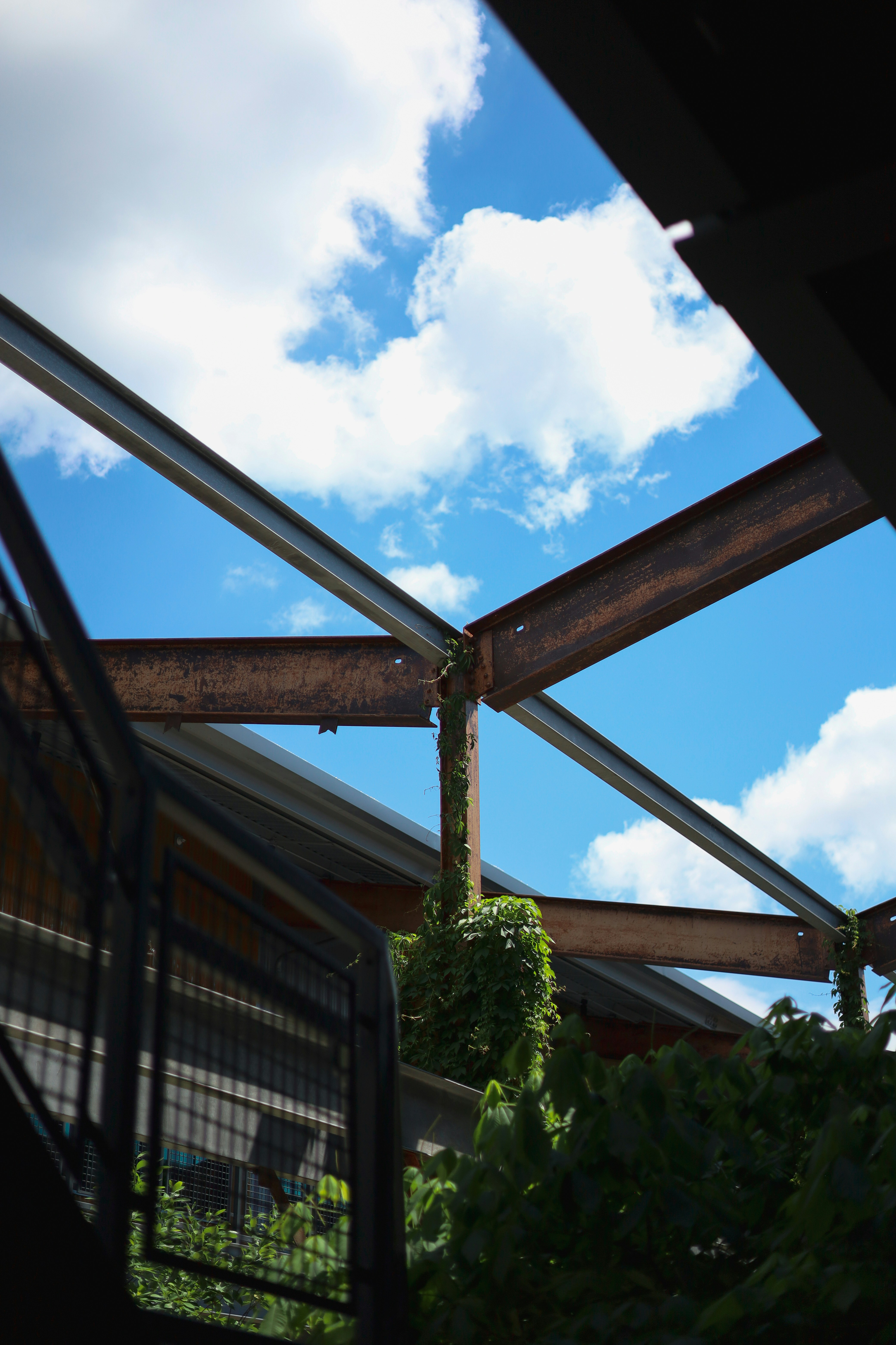 Skyward Skeleton of Rust and Steel