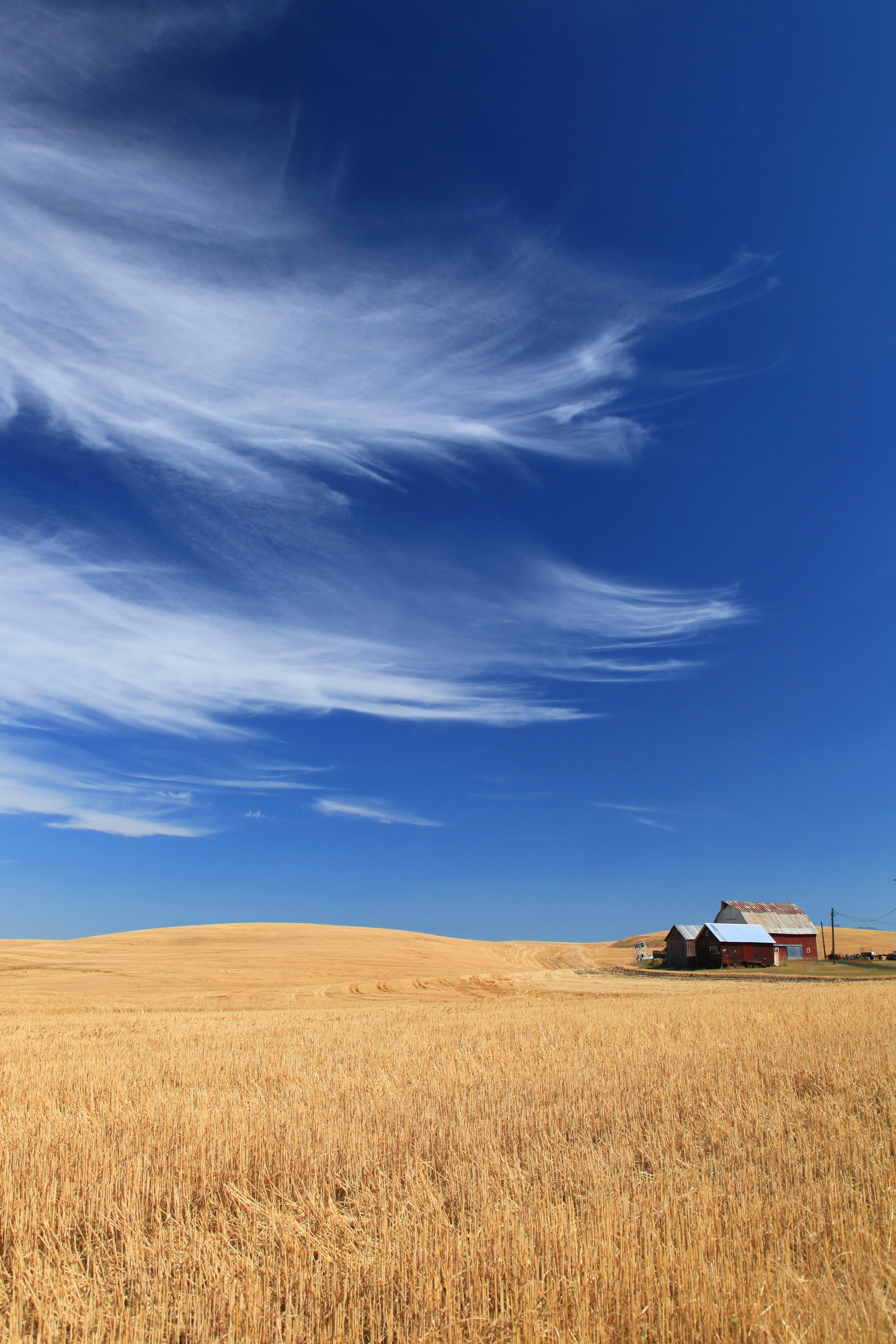 Whispers of the Prairie Sky