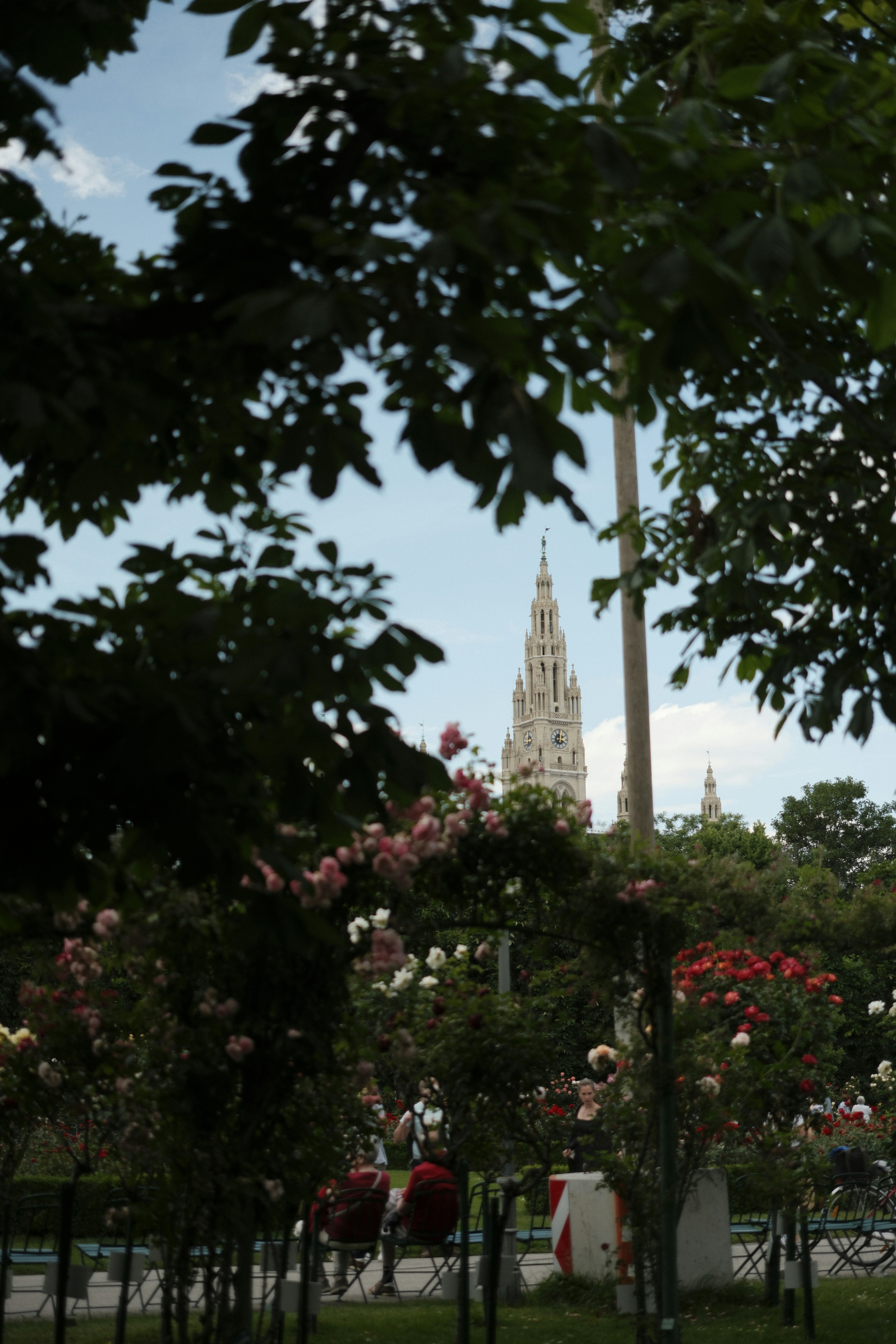 Through the Garden Veil: a Gothic Spire Emerging Beyond Blooms