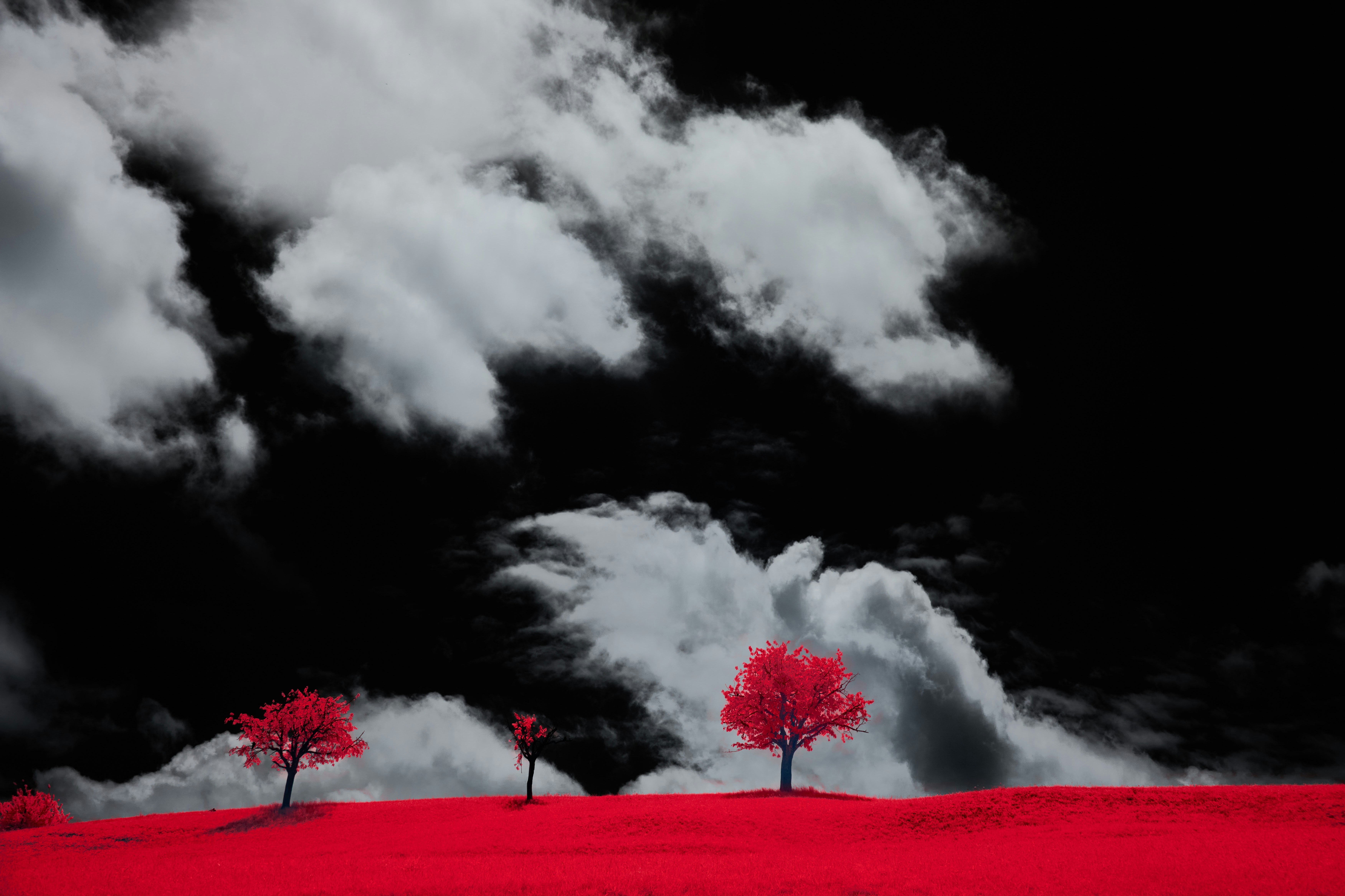 Red And Black Heaven Background Pictures | Download Free Images on Unsplash