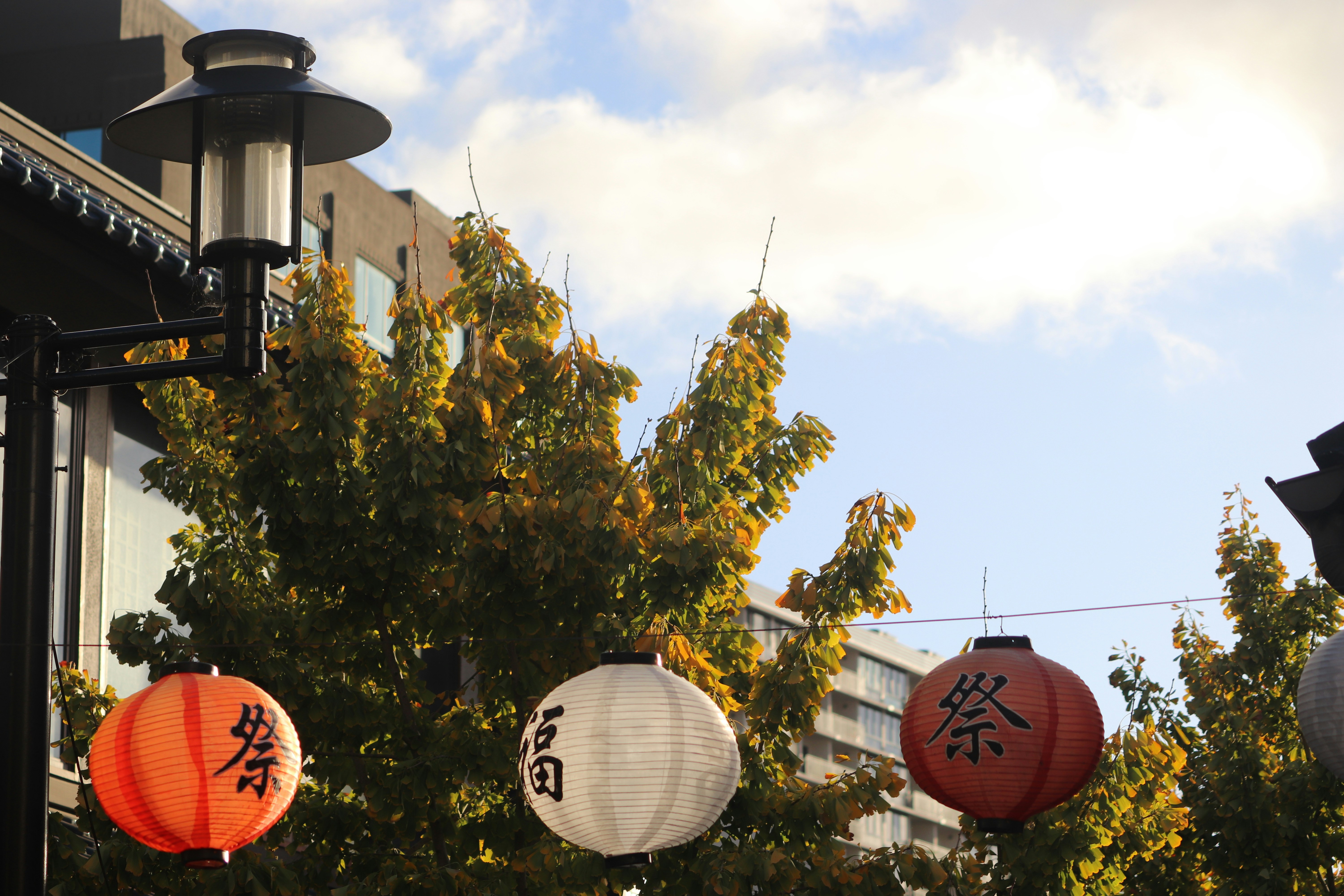 Paper Lanterns Draped Across a Sunlit City Block