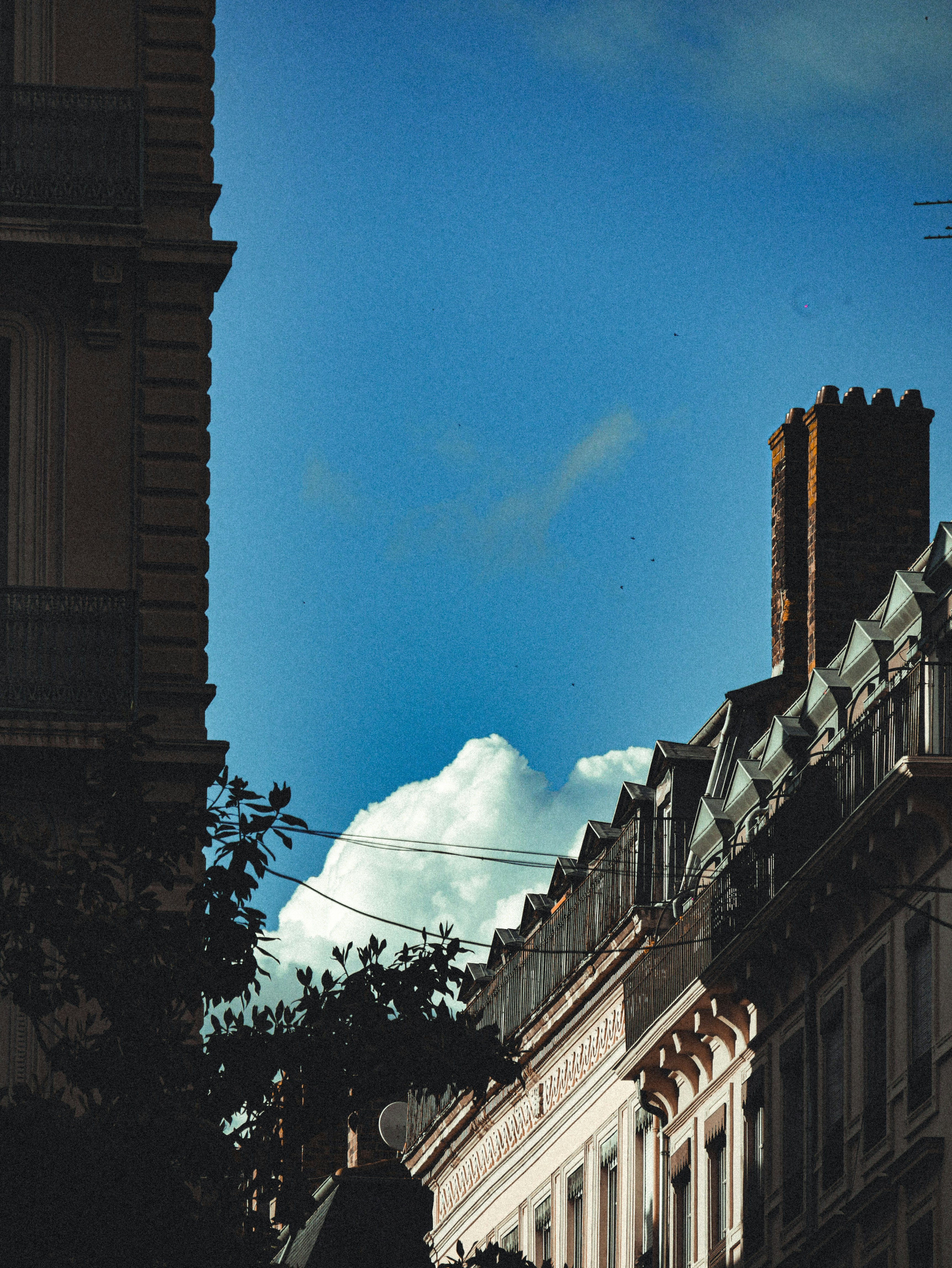 Historic buildings framed by a vibrant blue sky dotted with clouds. The scene captures the essence of urban life intertwined with nature.