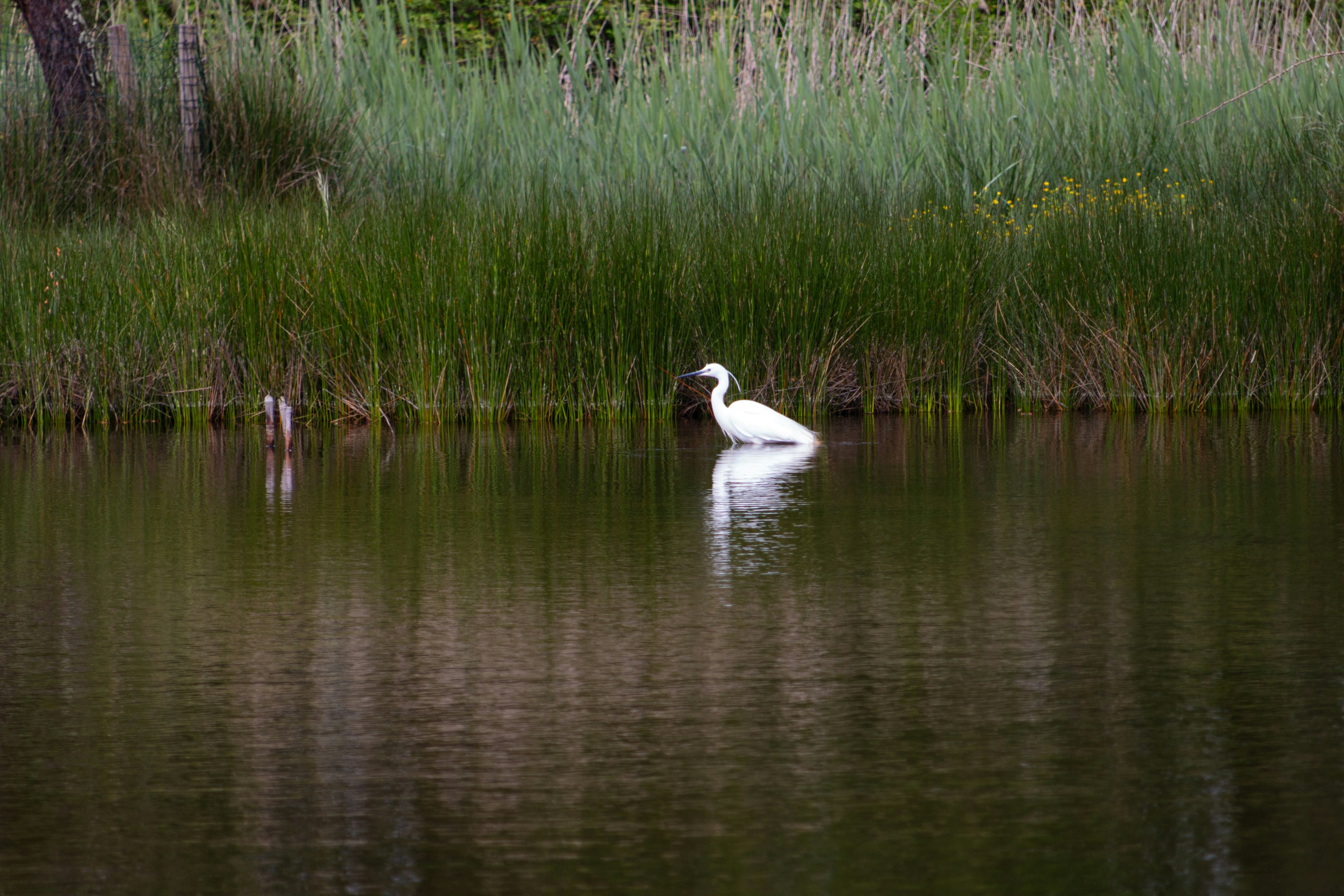 Photo by Paul Melki with Canon EOS 70D