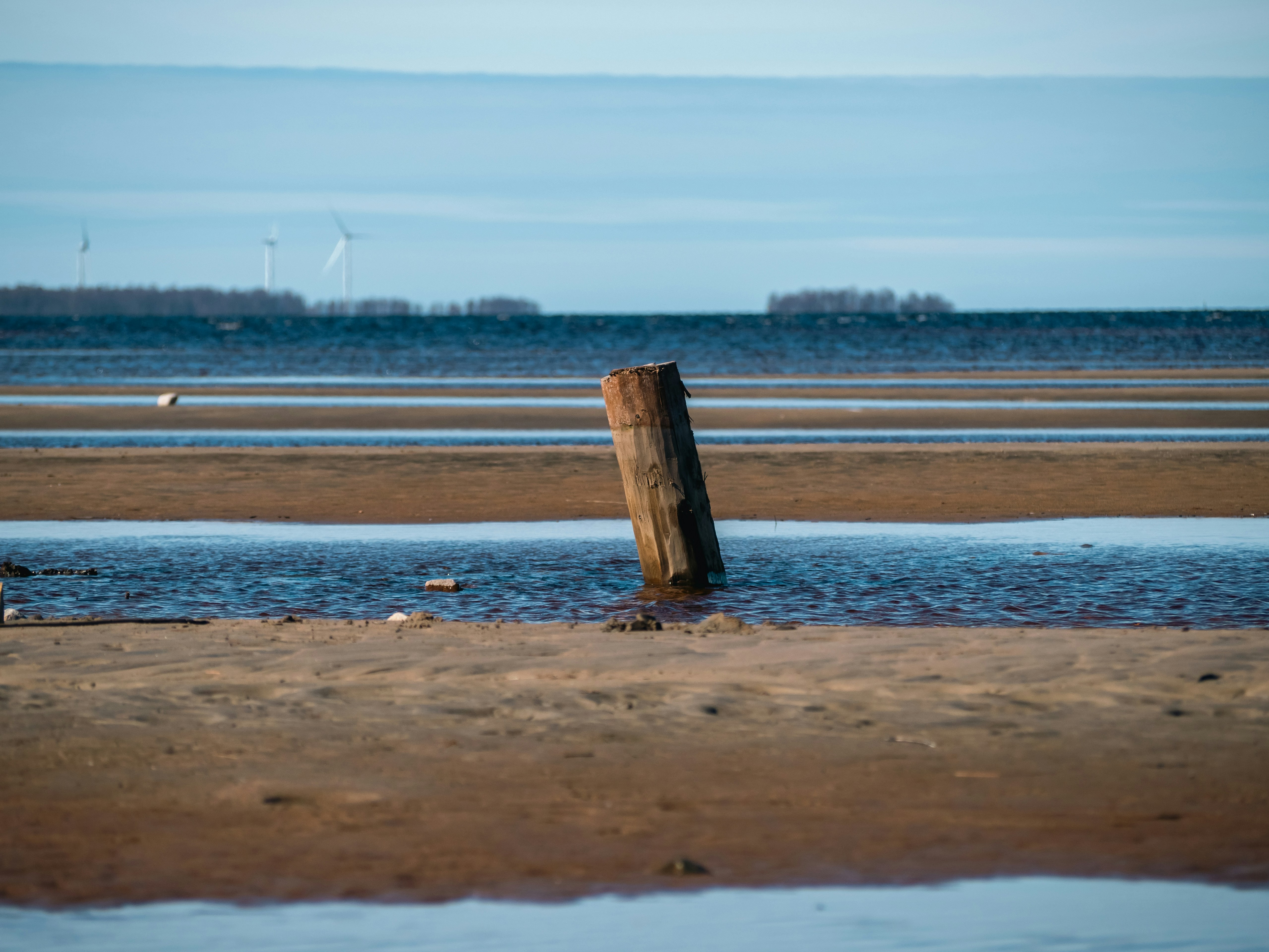 Photo by Aleksi Partanen with Olympus OM-D E-M1 Mark II