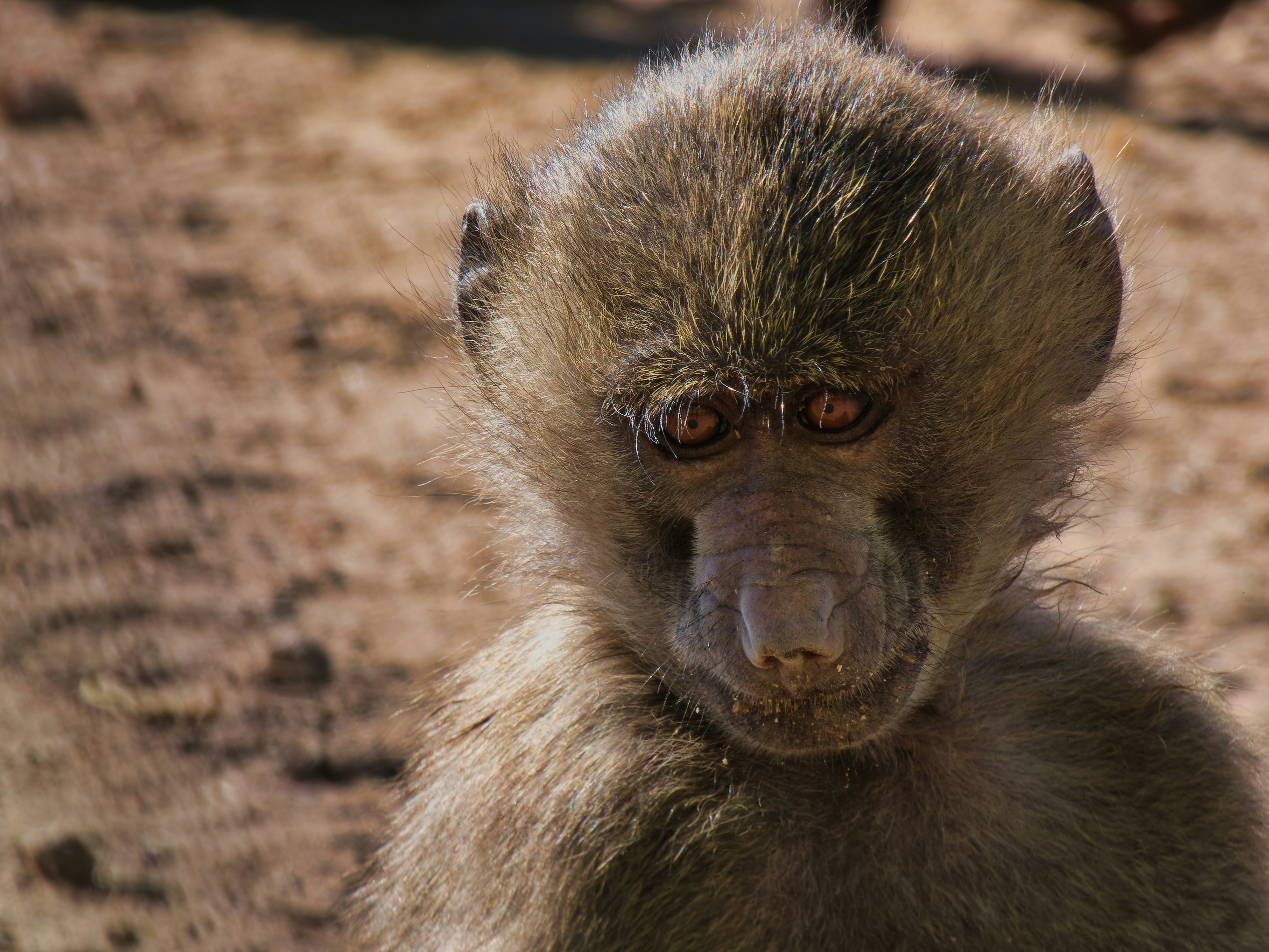 Photo by piotr sawejko with Panasonic Lumix FZ82