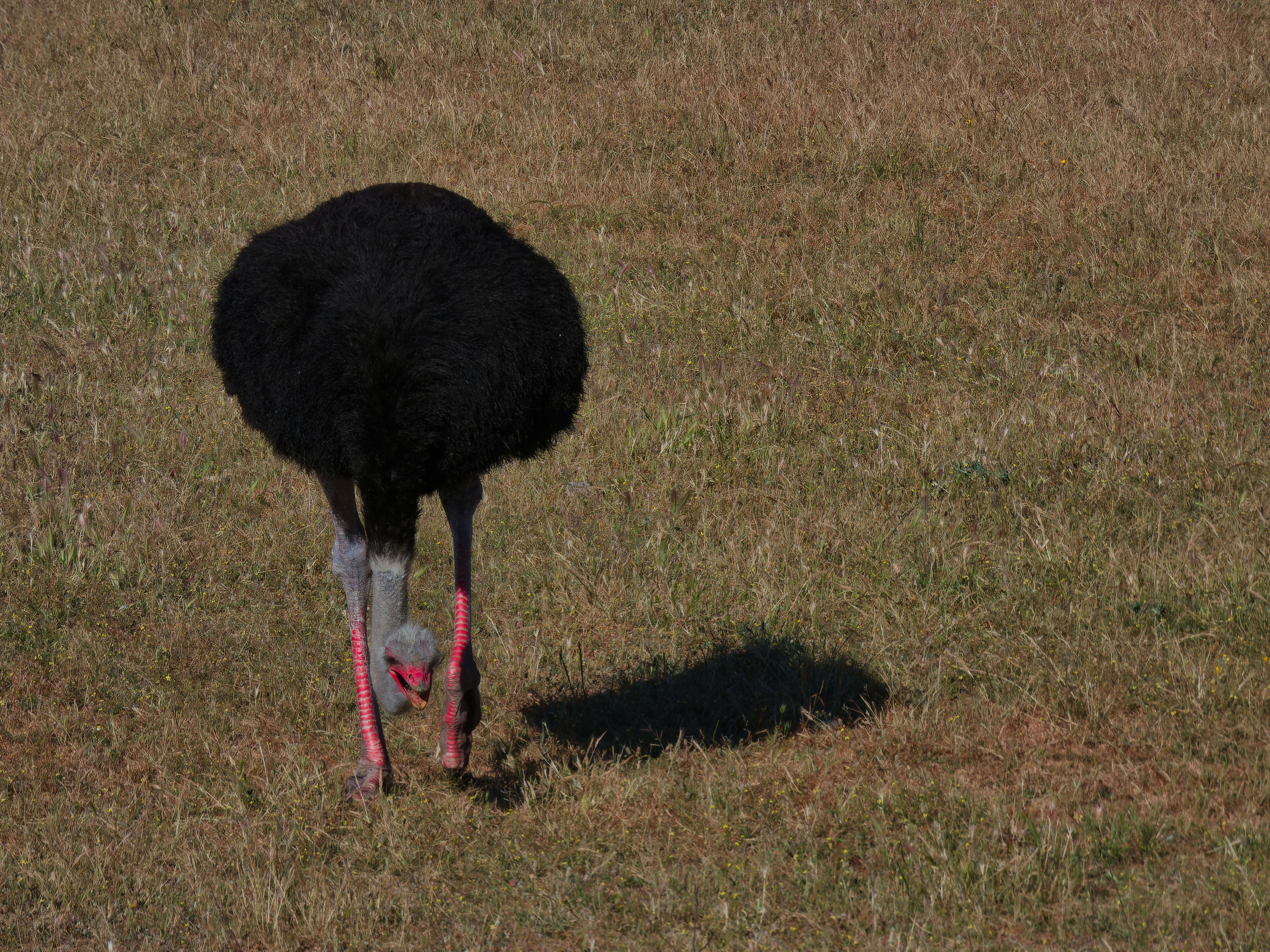 Photo by piotr sawejko with Panasonic Lumix FZ82