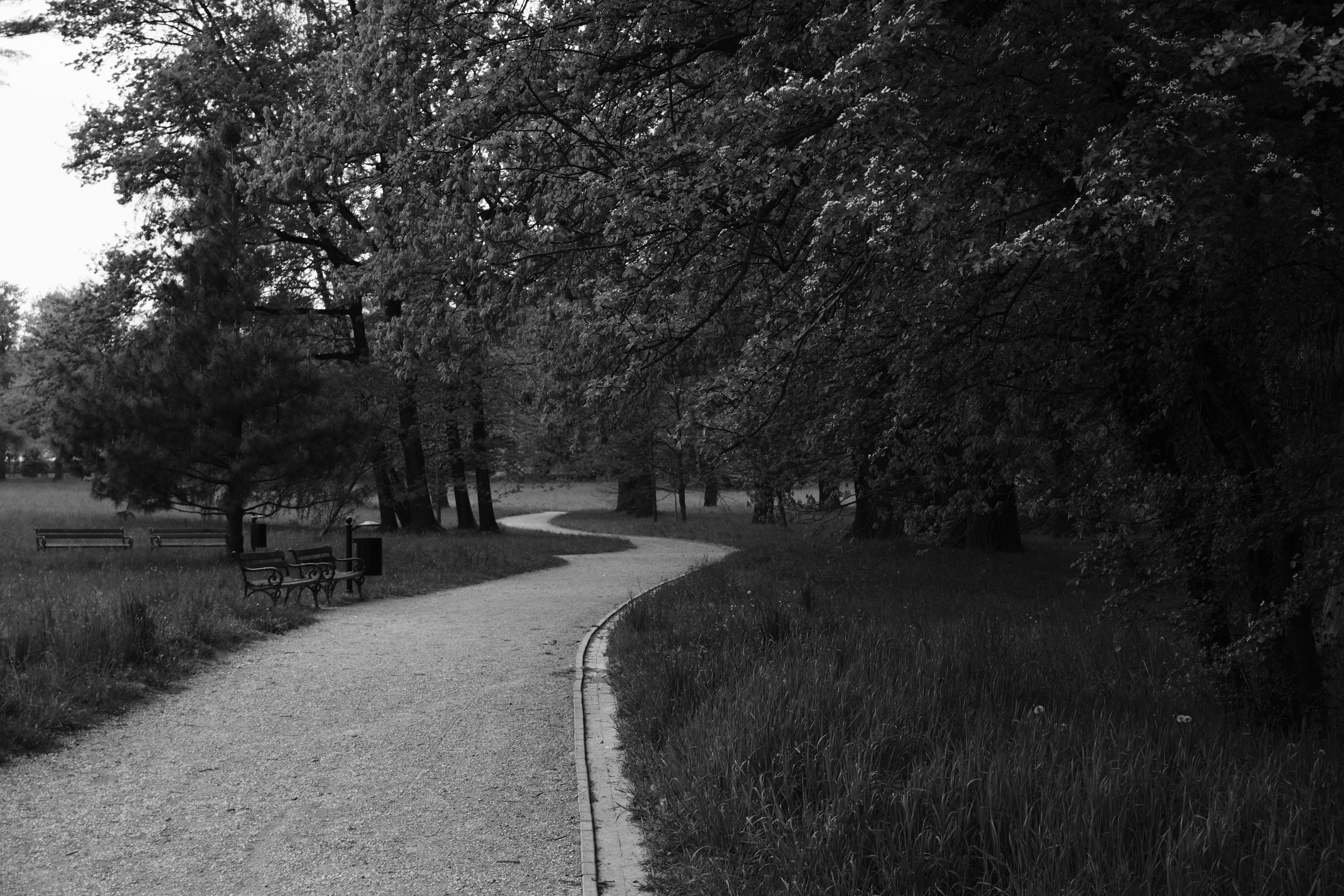 A black and white photo of a path in a park photo – Free Grey Image on ...
