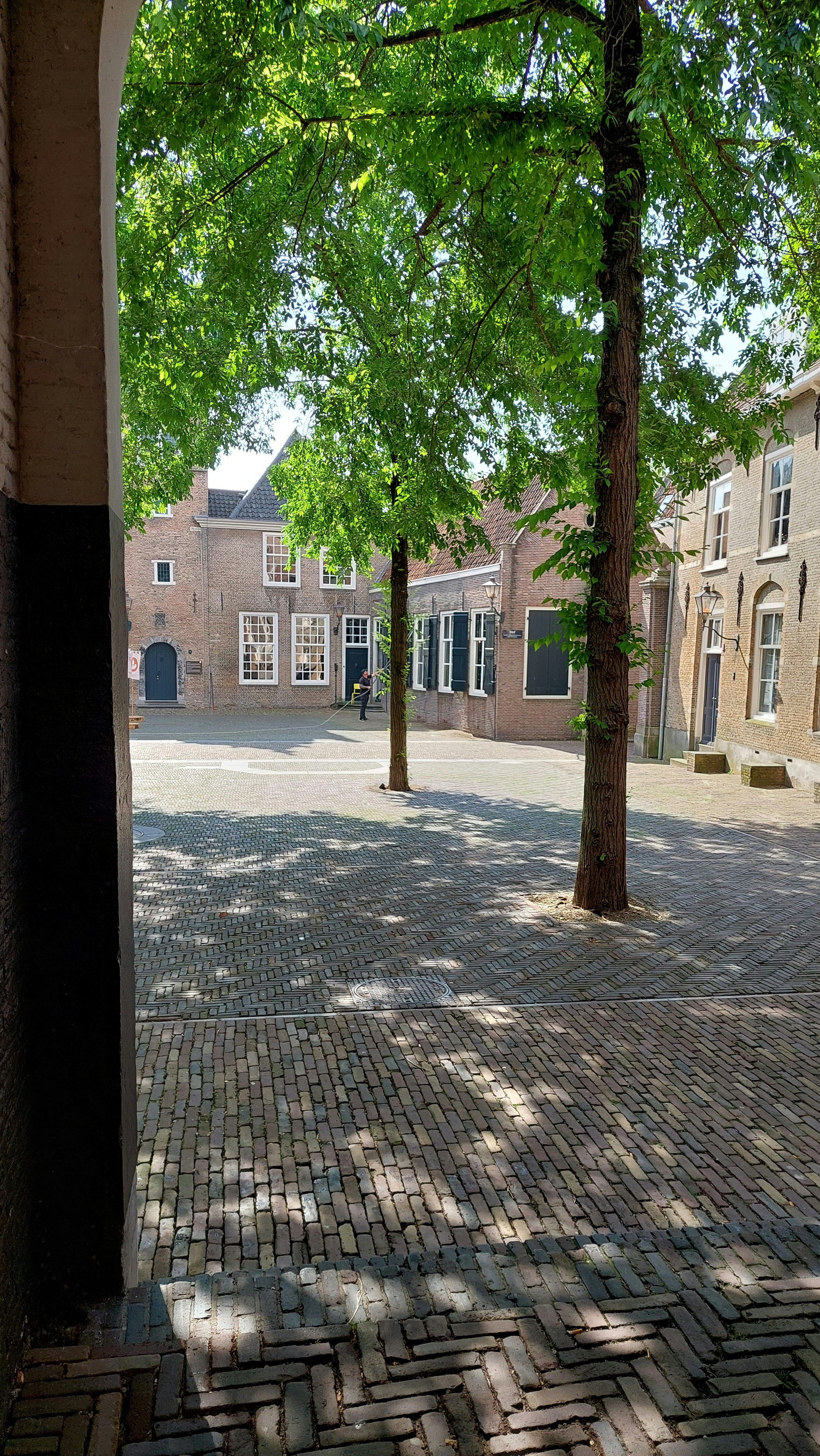 Cobbled Courtyard Vista: Dappled Shade and Quiet Facades