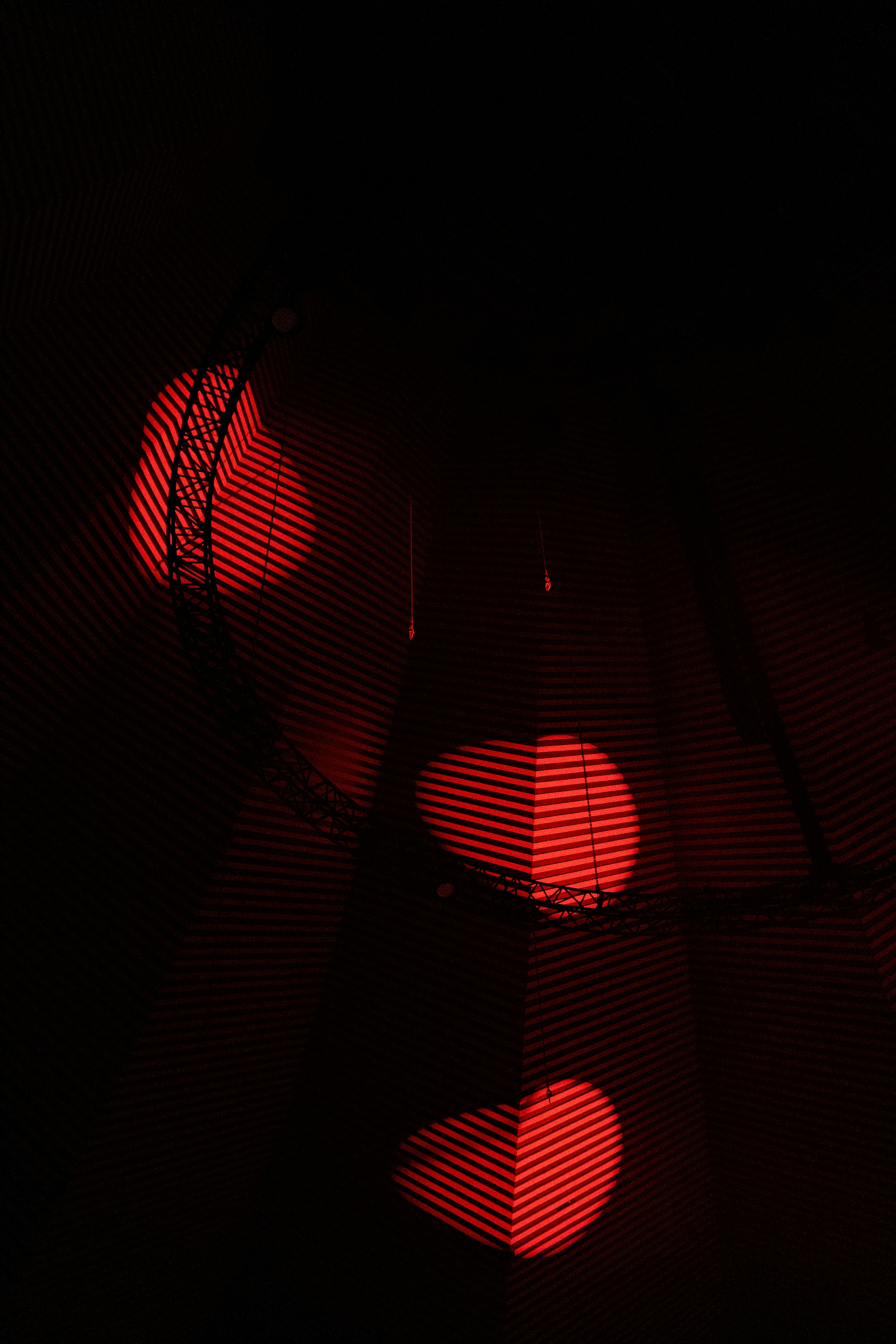 Crimson Orbs Framed by a Veiled Mesh