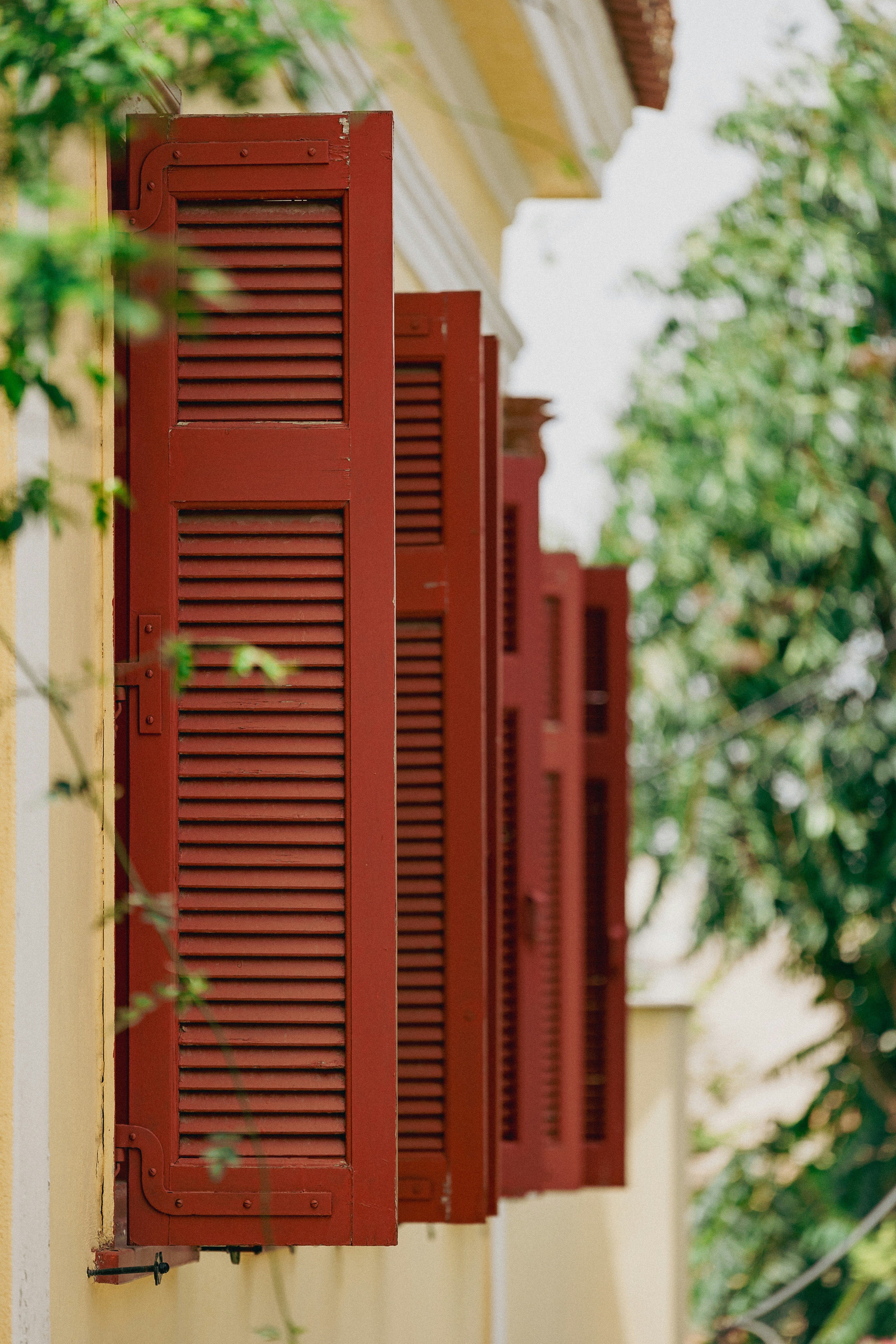 Crimson Shutters of Athens