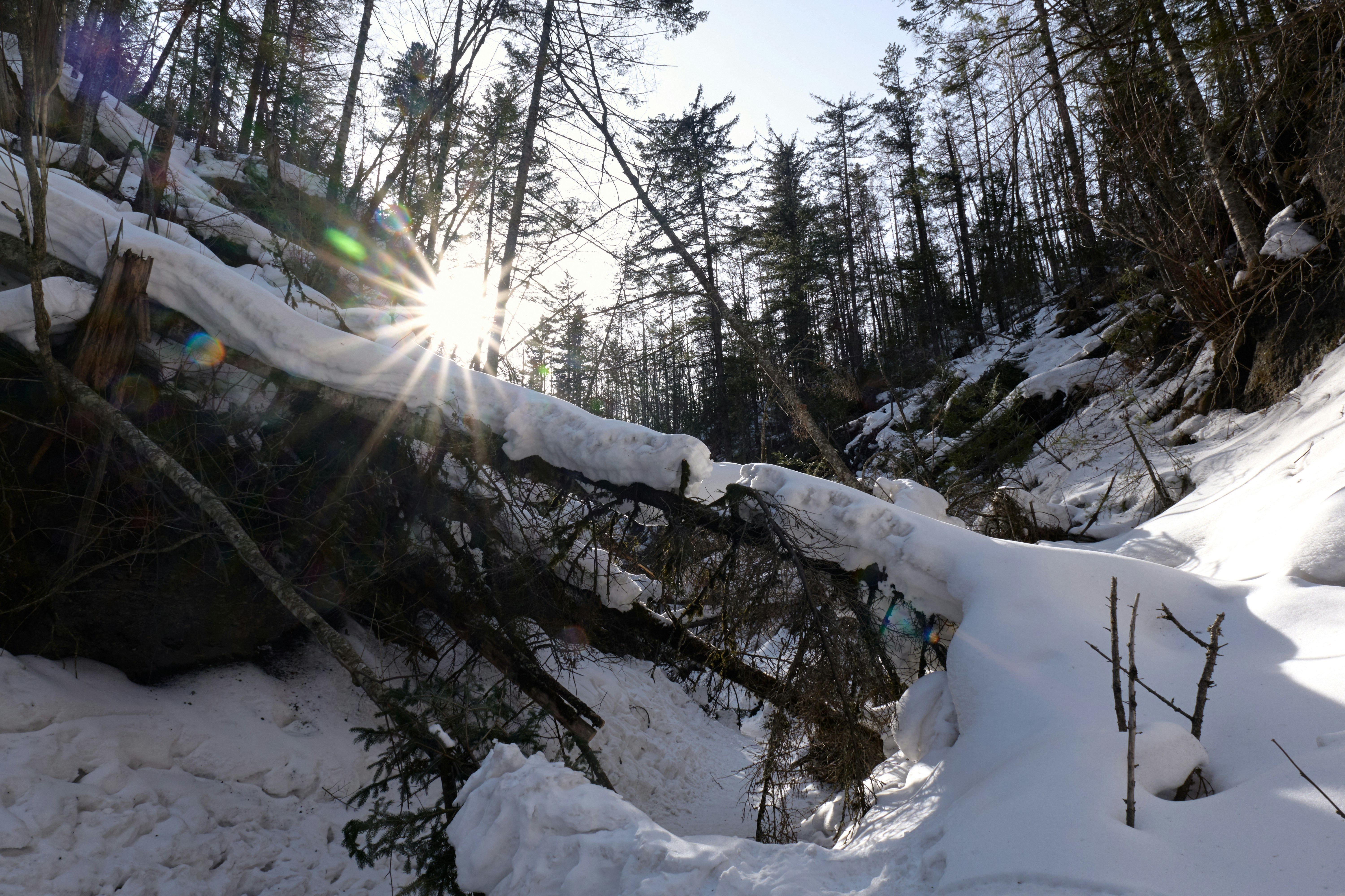 lin zhaohai (@haydenlllam) | Komunitas Foto Unsplash