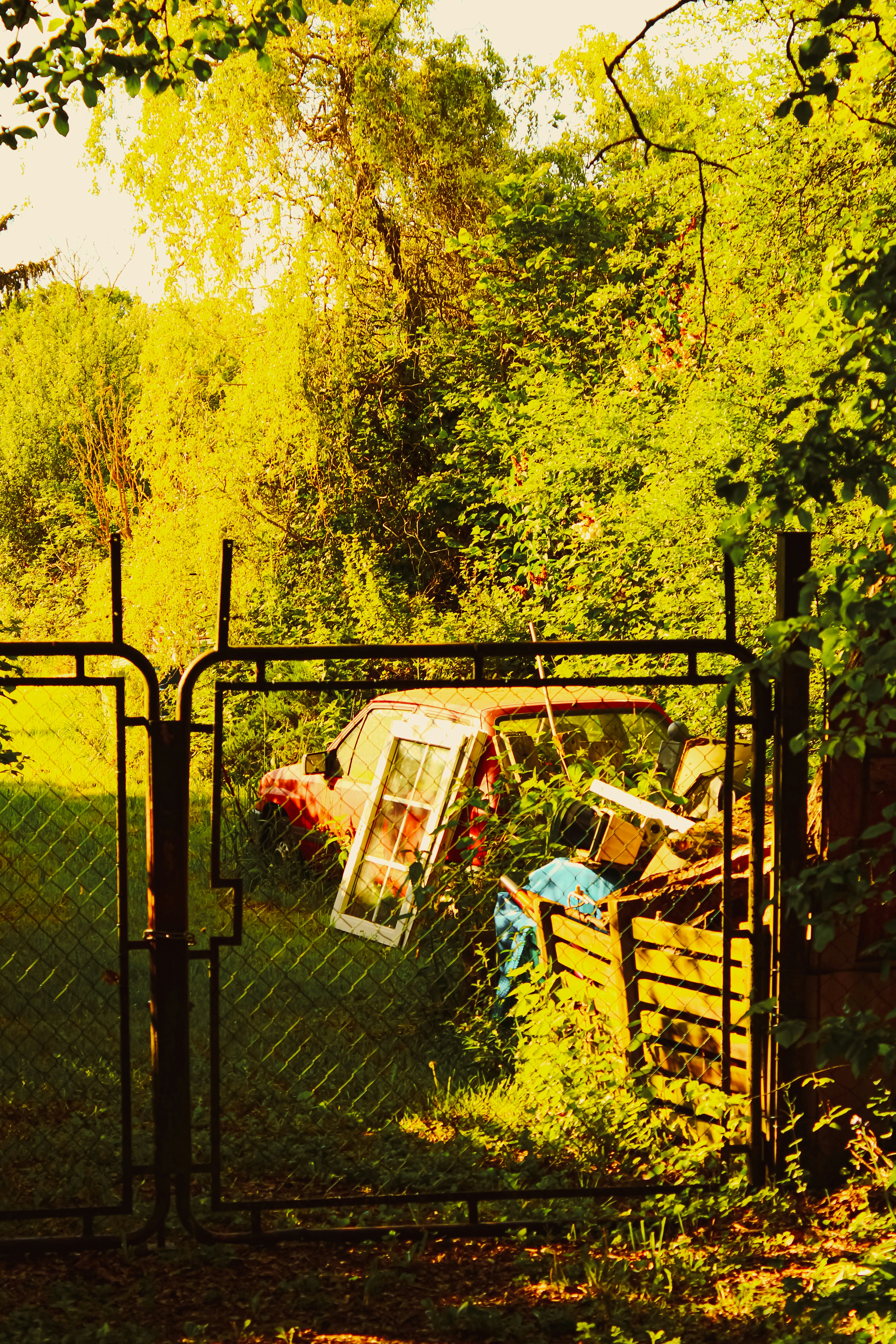 a car is parked behind a gate in the woods