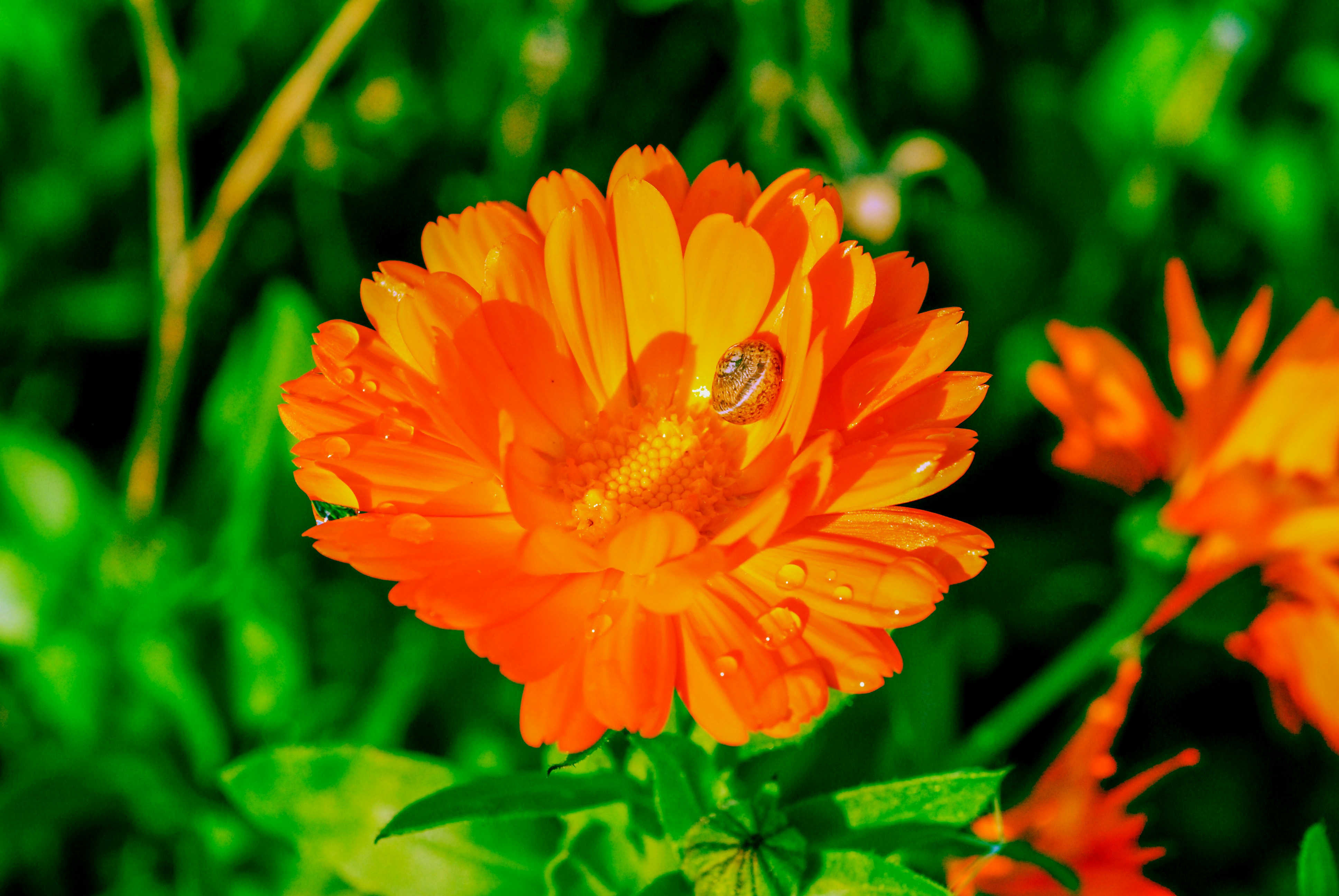 Photo by Roberto Contreras with Nikon D200