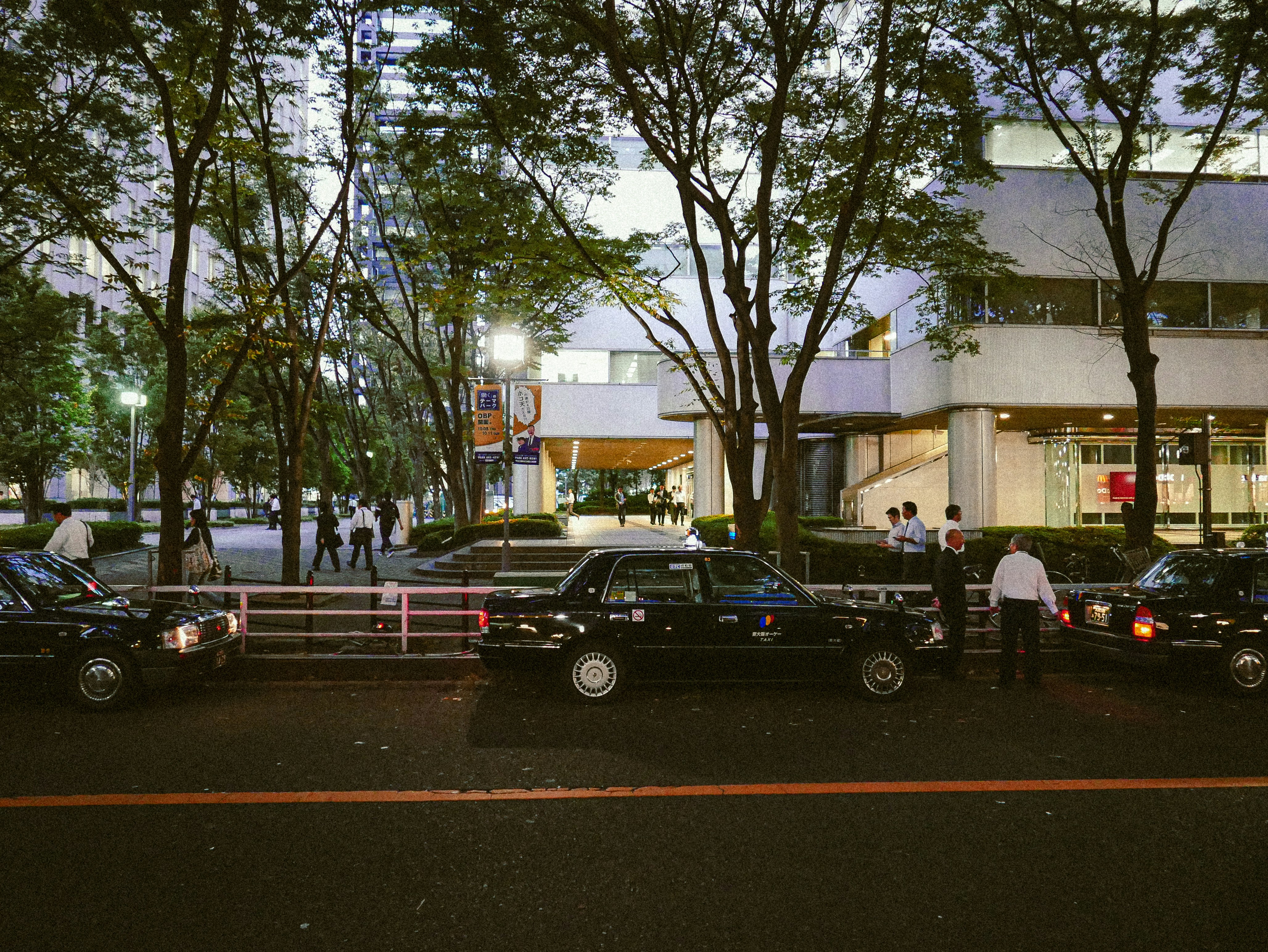 Midnight Taxi on a Tree-Lined City Block Under Neon Glow