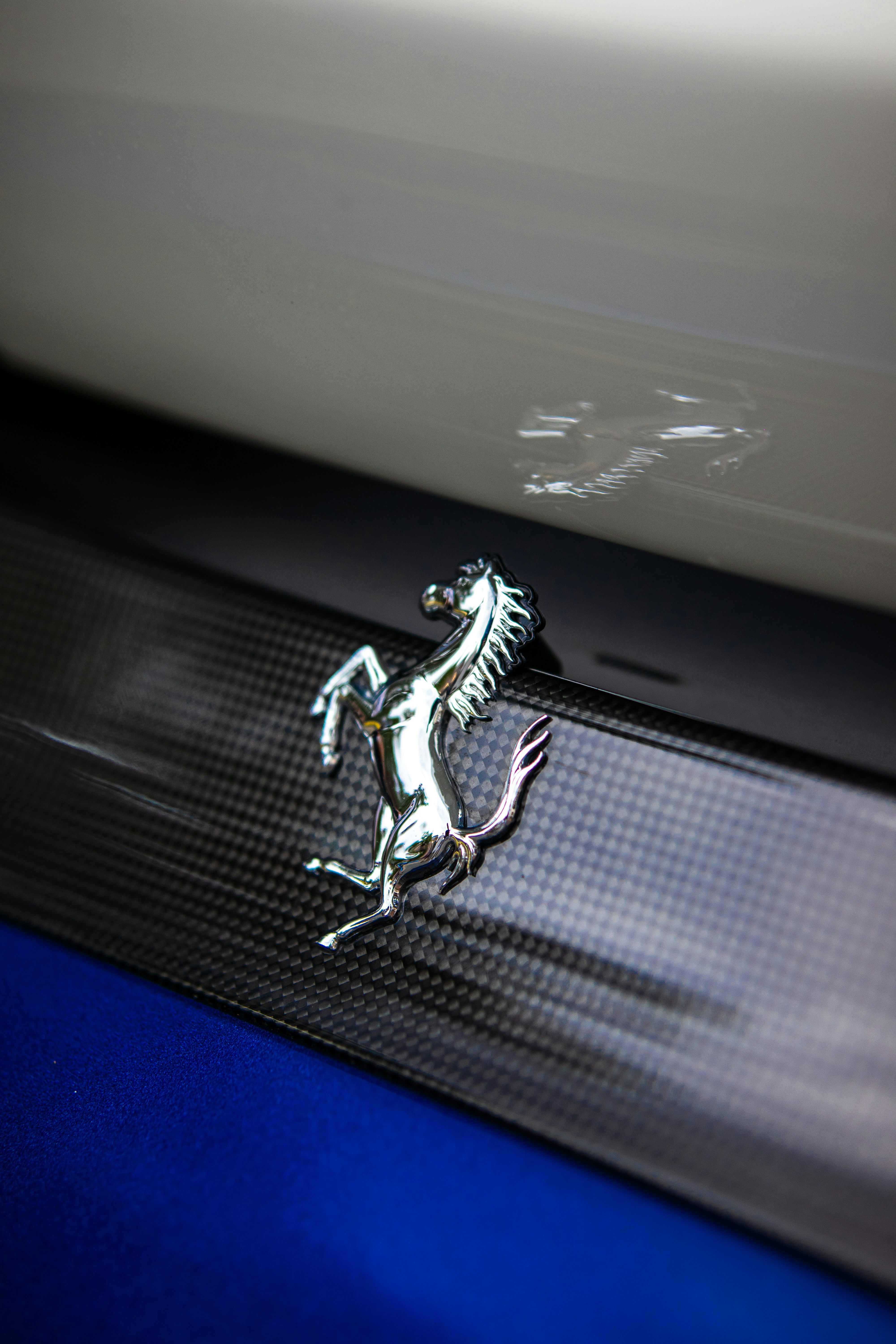 Photo by Austin Rucker with Canon EOS M50 Mark II