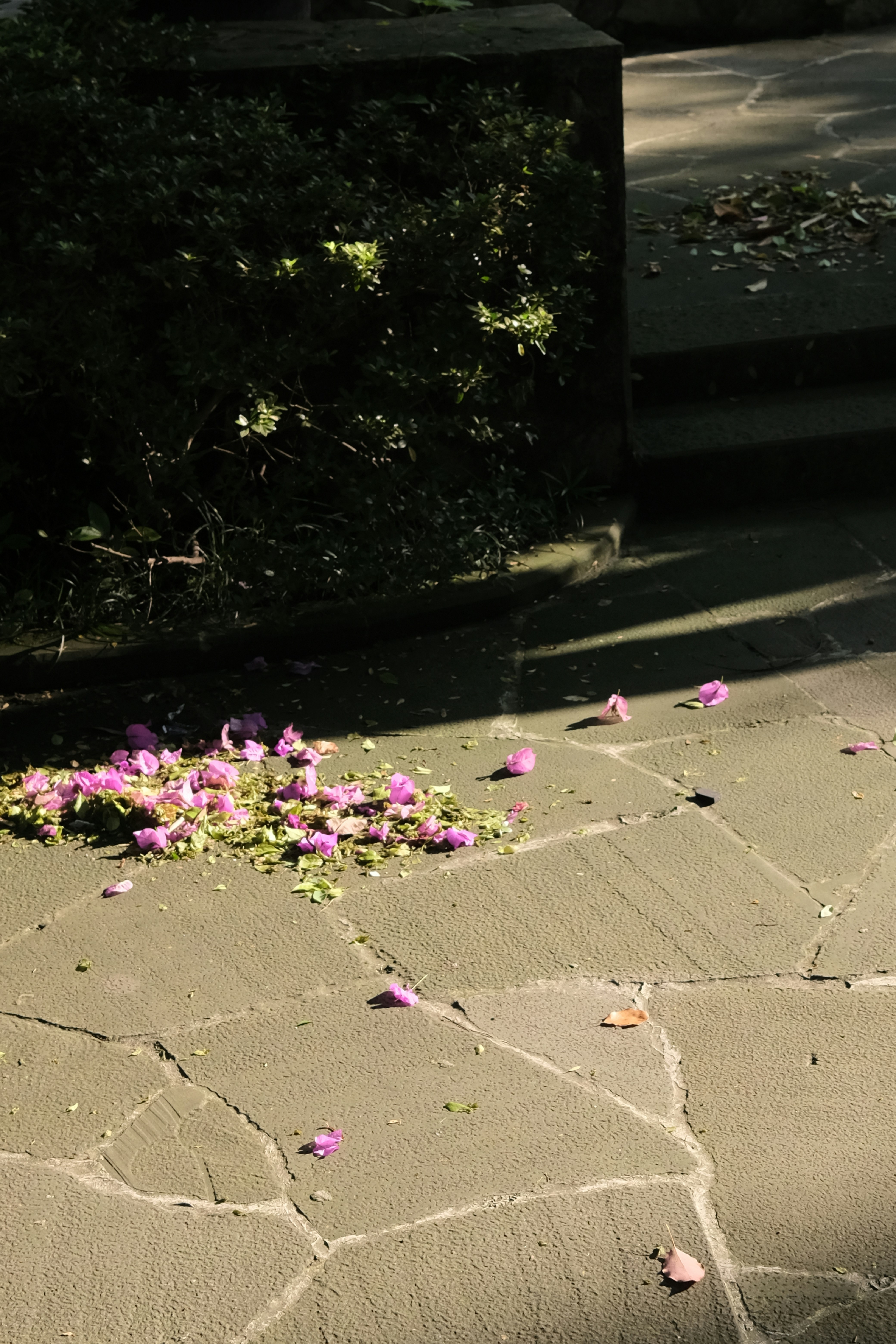 Photo by ZIHANG with Fujifilm X100V