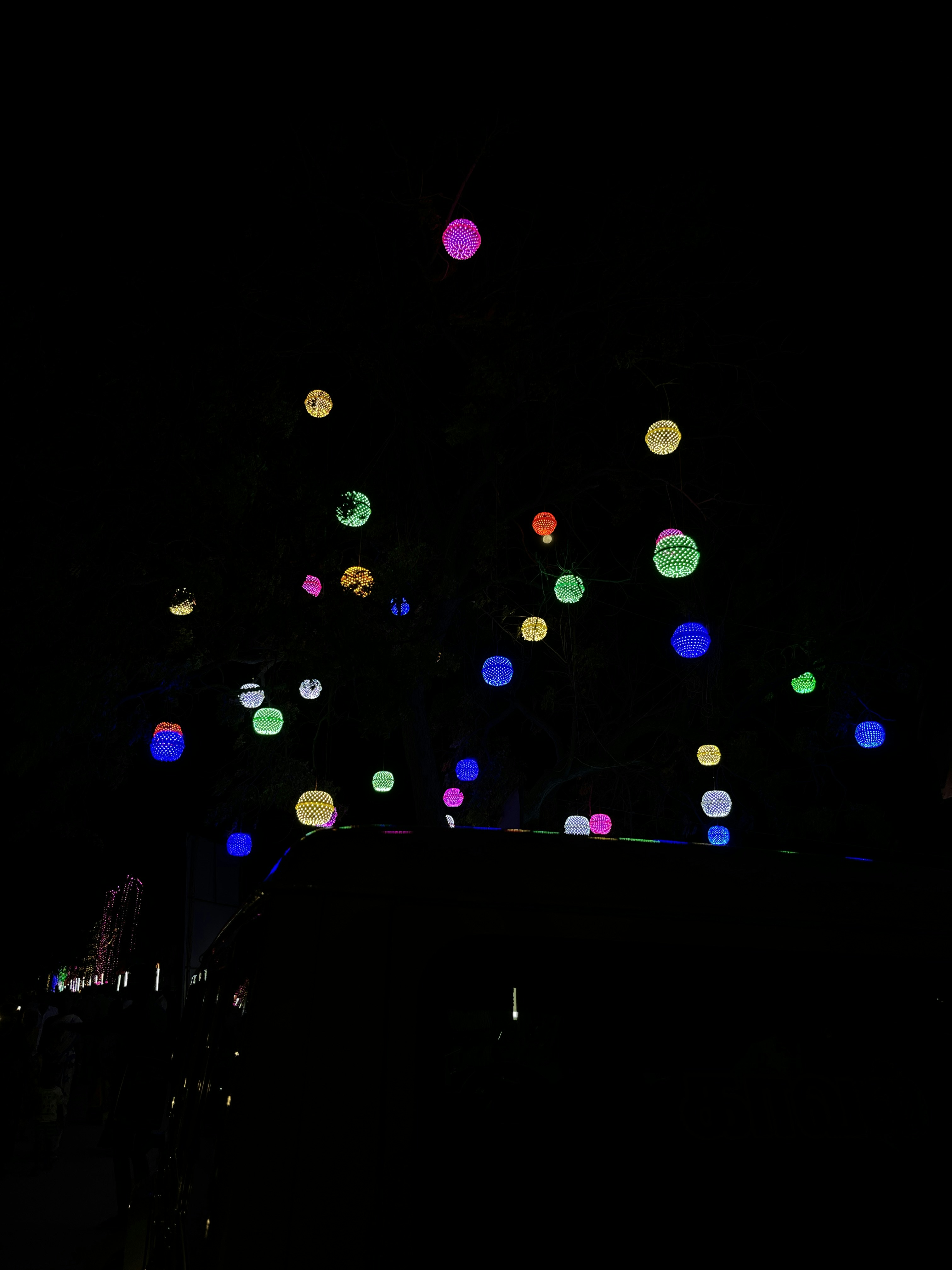 Sharhan Raghav J (@iris_photography) | Unsplash Photo Community