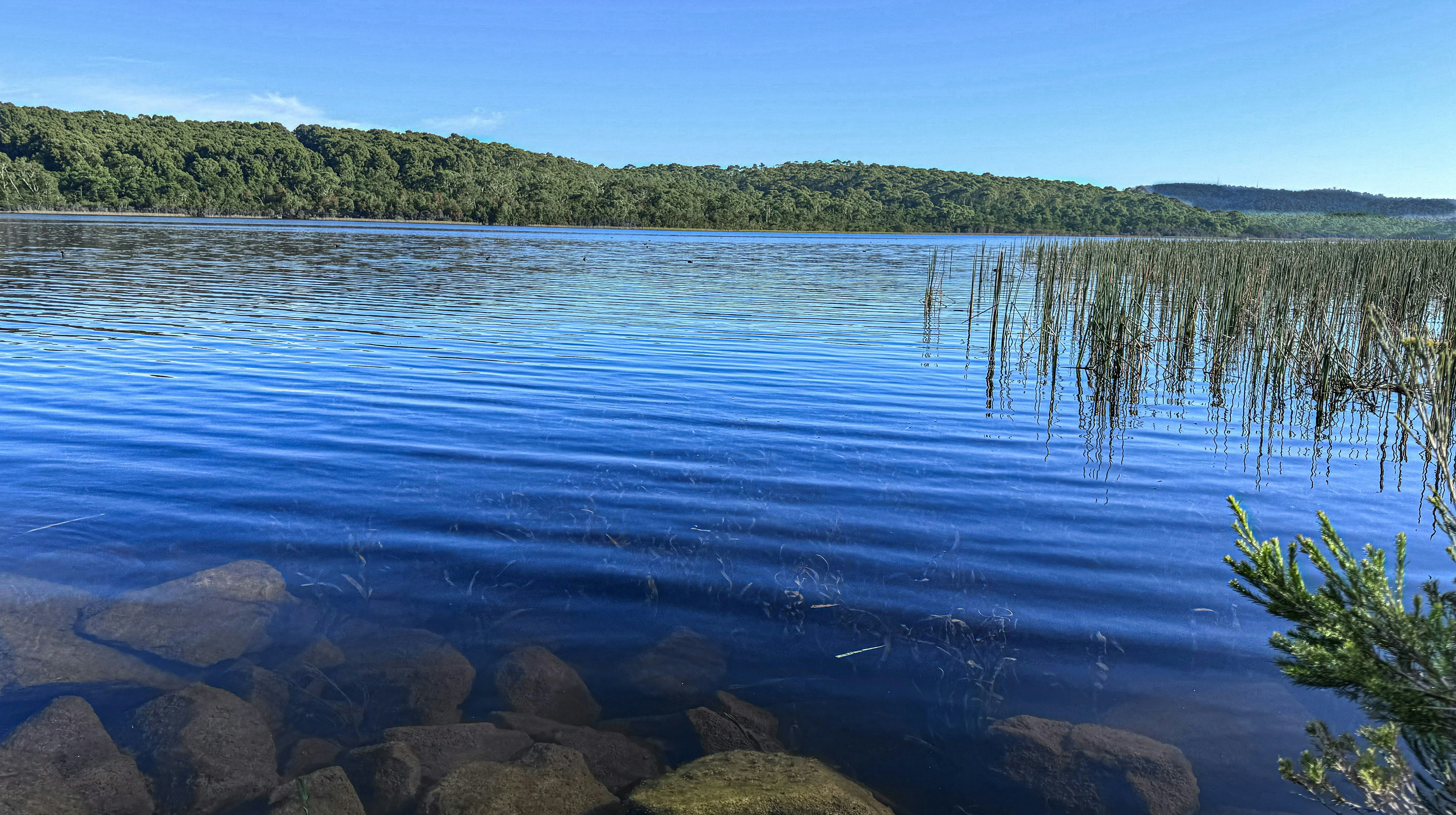 Serene lake with clear blue water, surrounded by lush green trees and rocky shoreline.