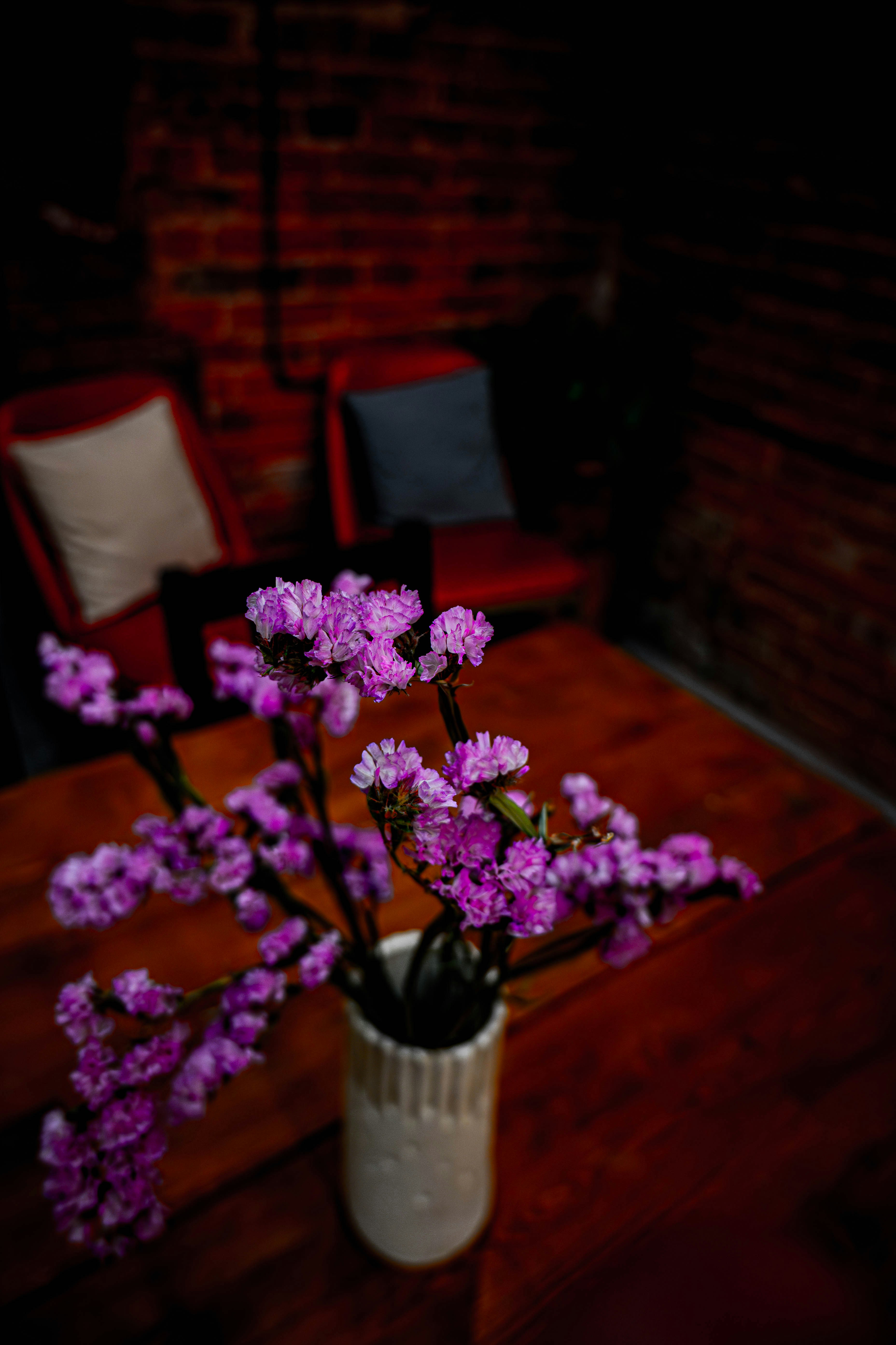 Violet Bouquet in a Quiet Room