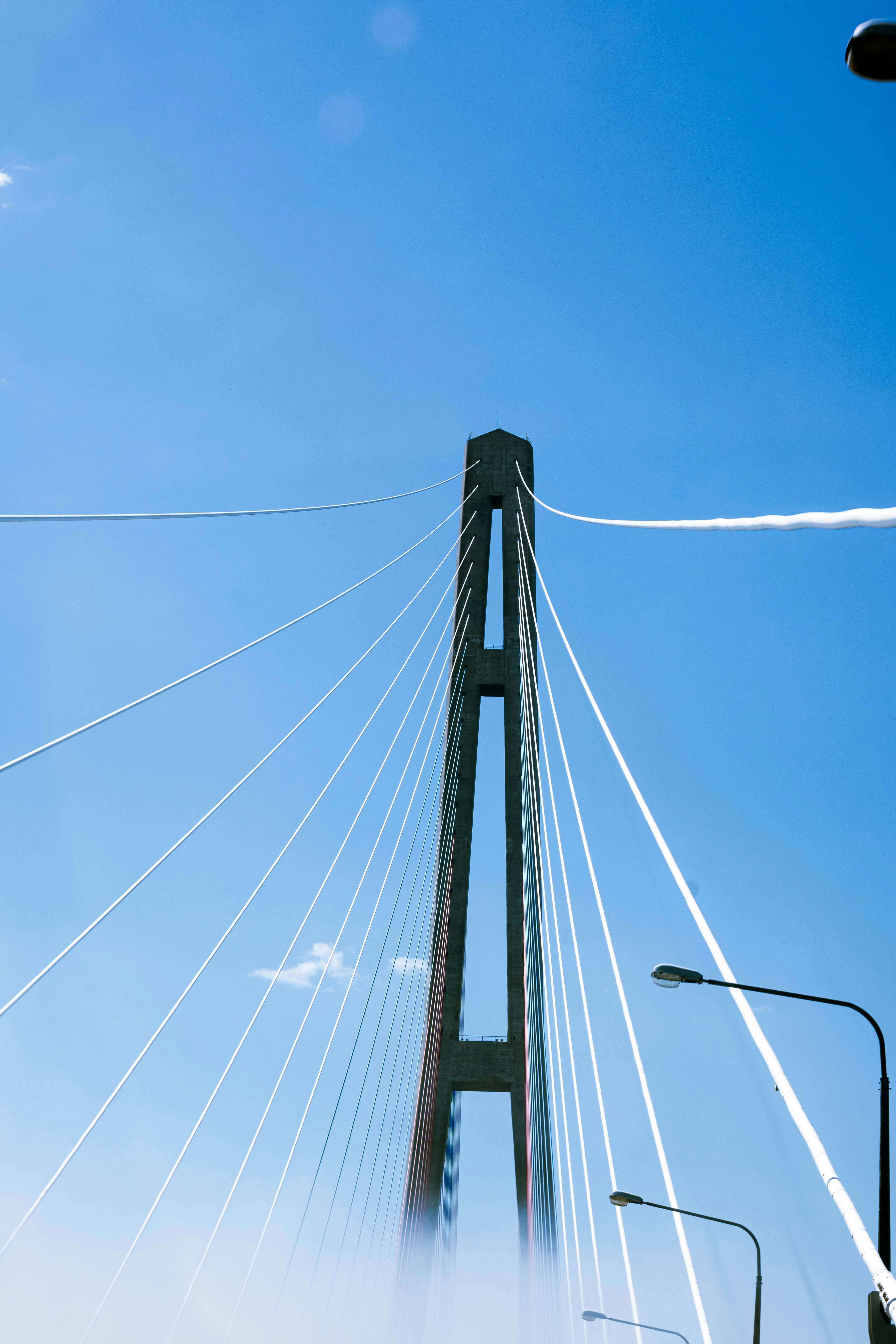 A view of a very tall bridge from the ground photo – Free Blue Image on ...