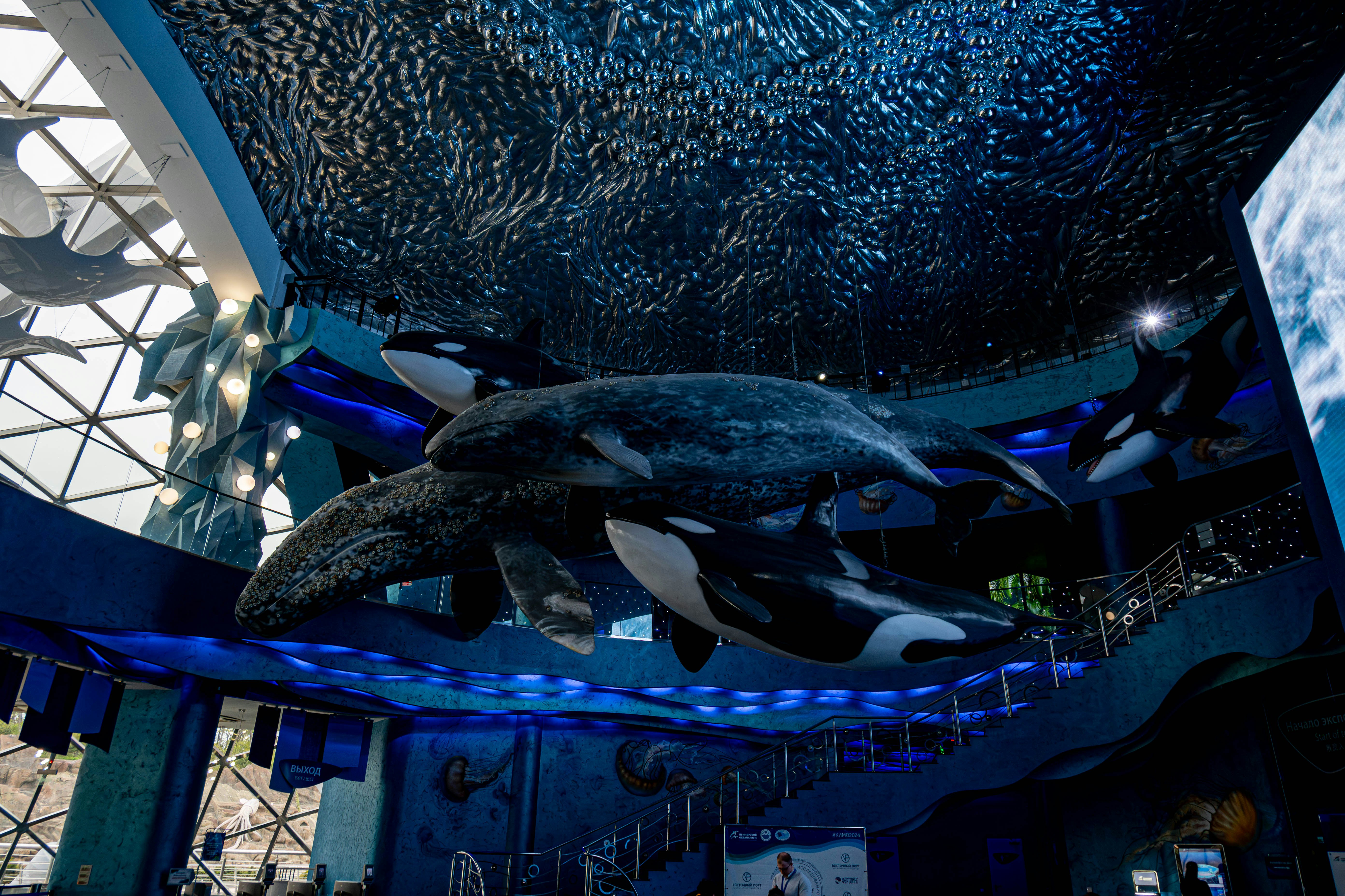 Whales in the Sky: Hanging Giants in a Blue Aquarium Atrium