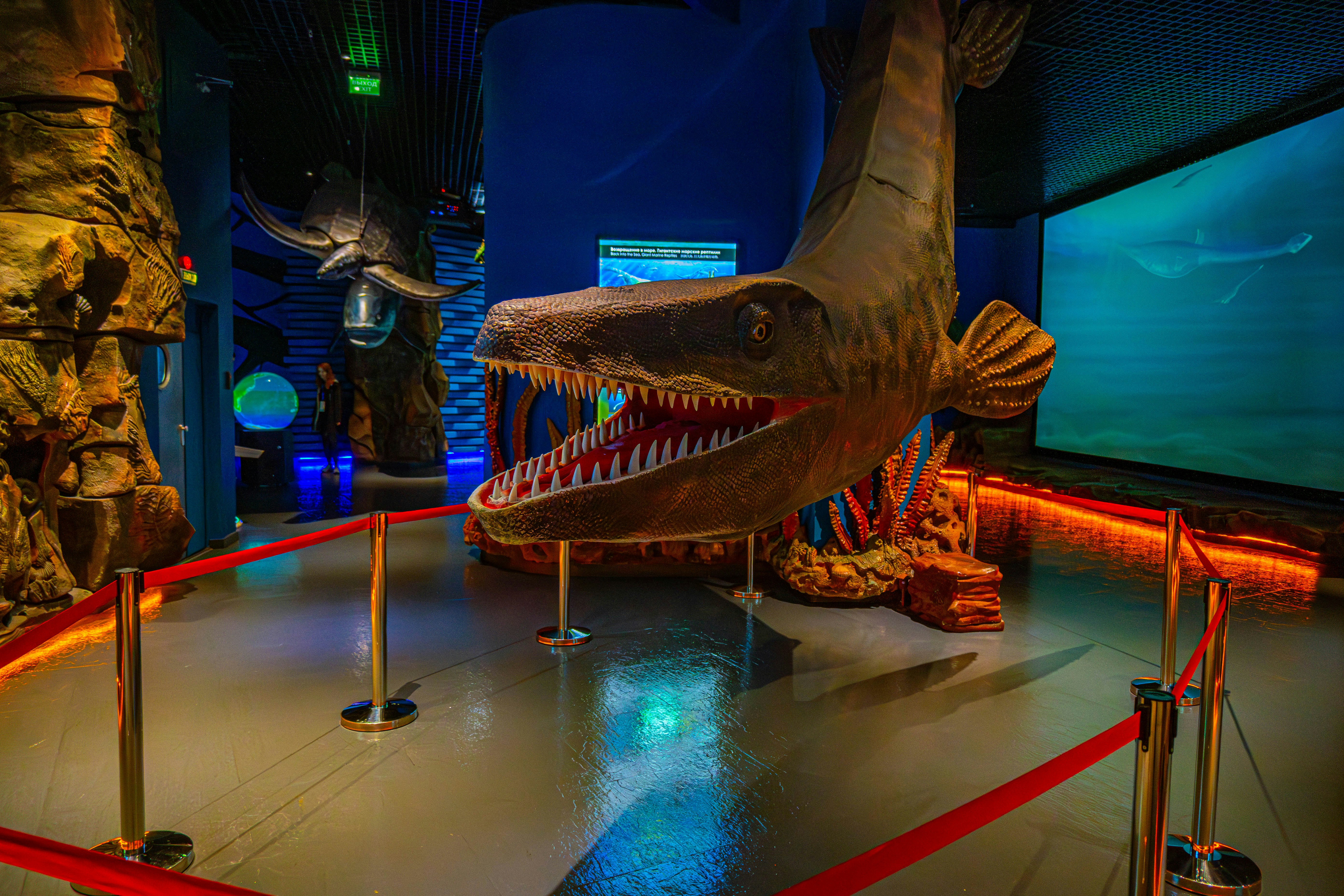 Photo by Vladislav Osterman with Nikon Z30