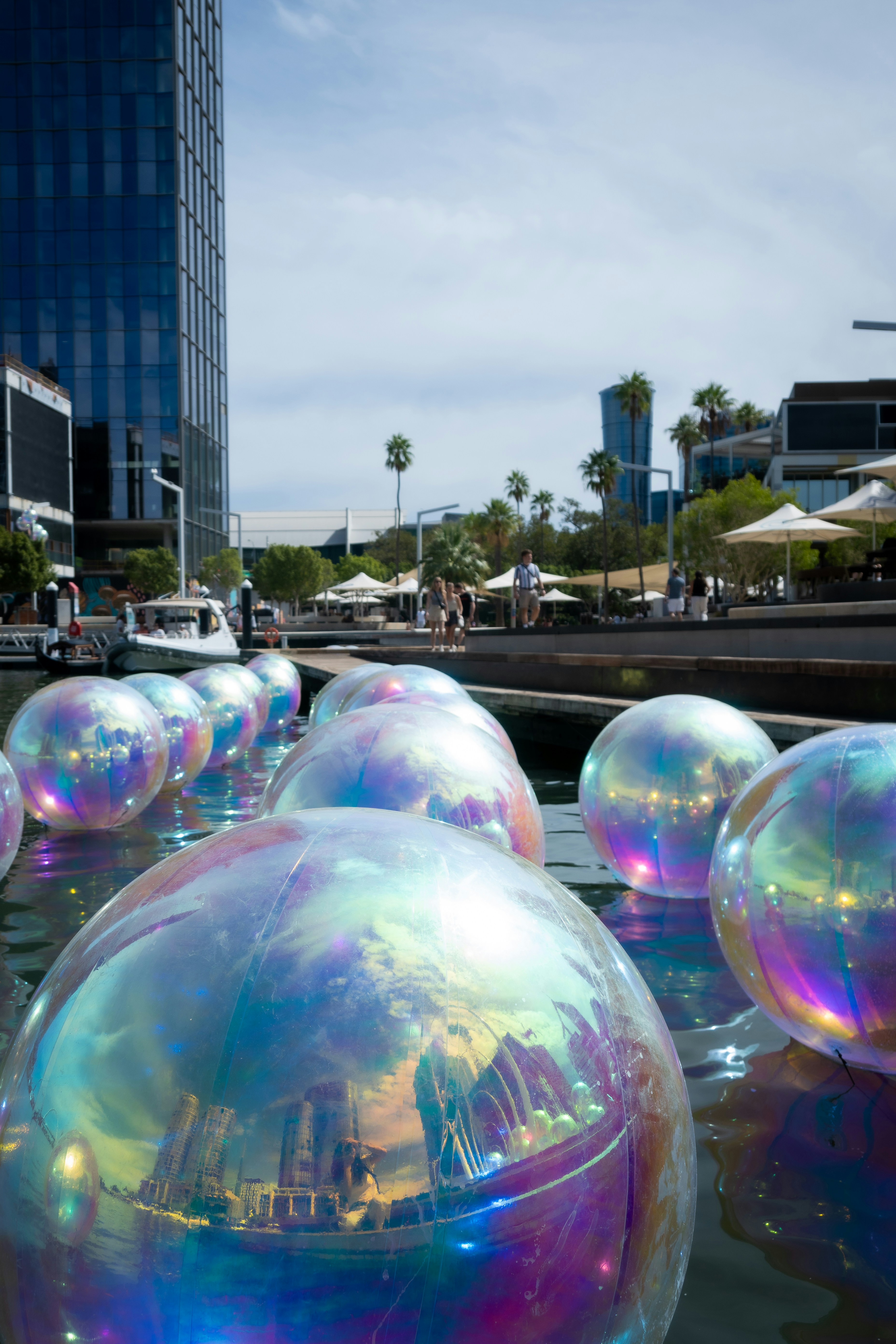 Photo by Natalia Gonzalez with Nikon Zfc