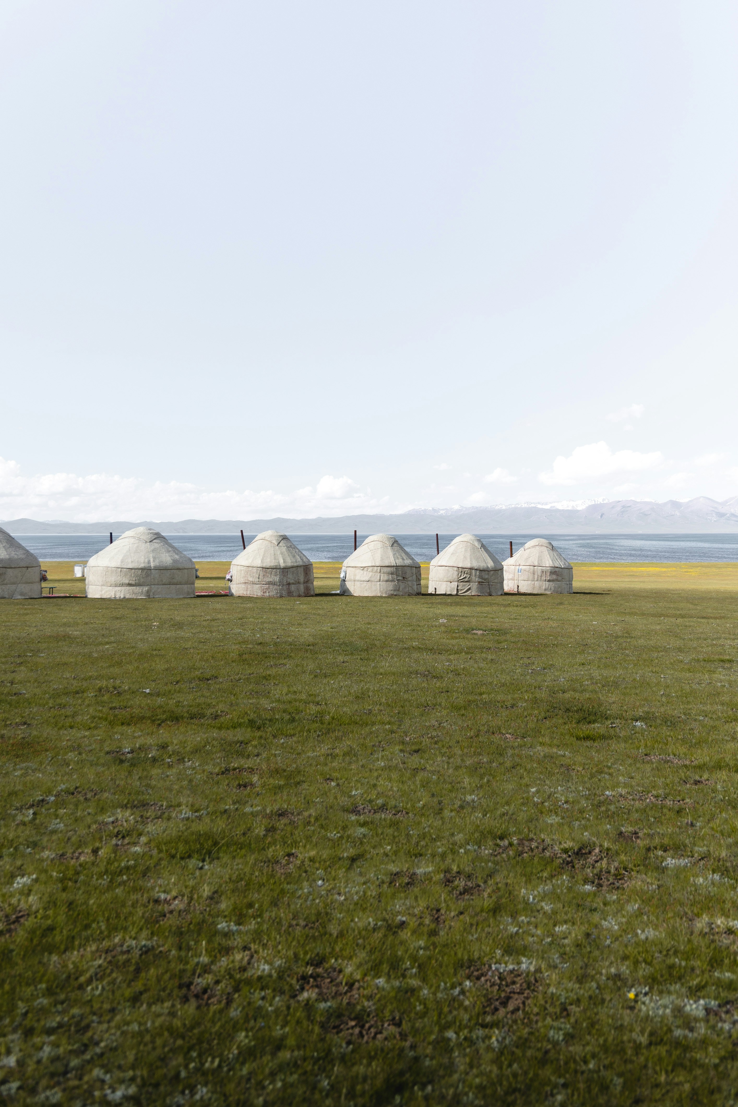 A field of grass with a bunch of white domes in the distance photo ...