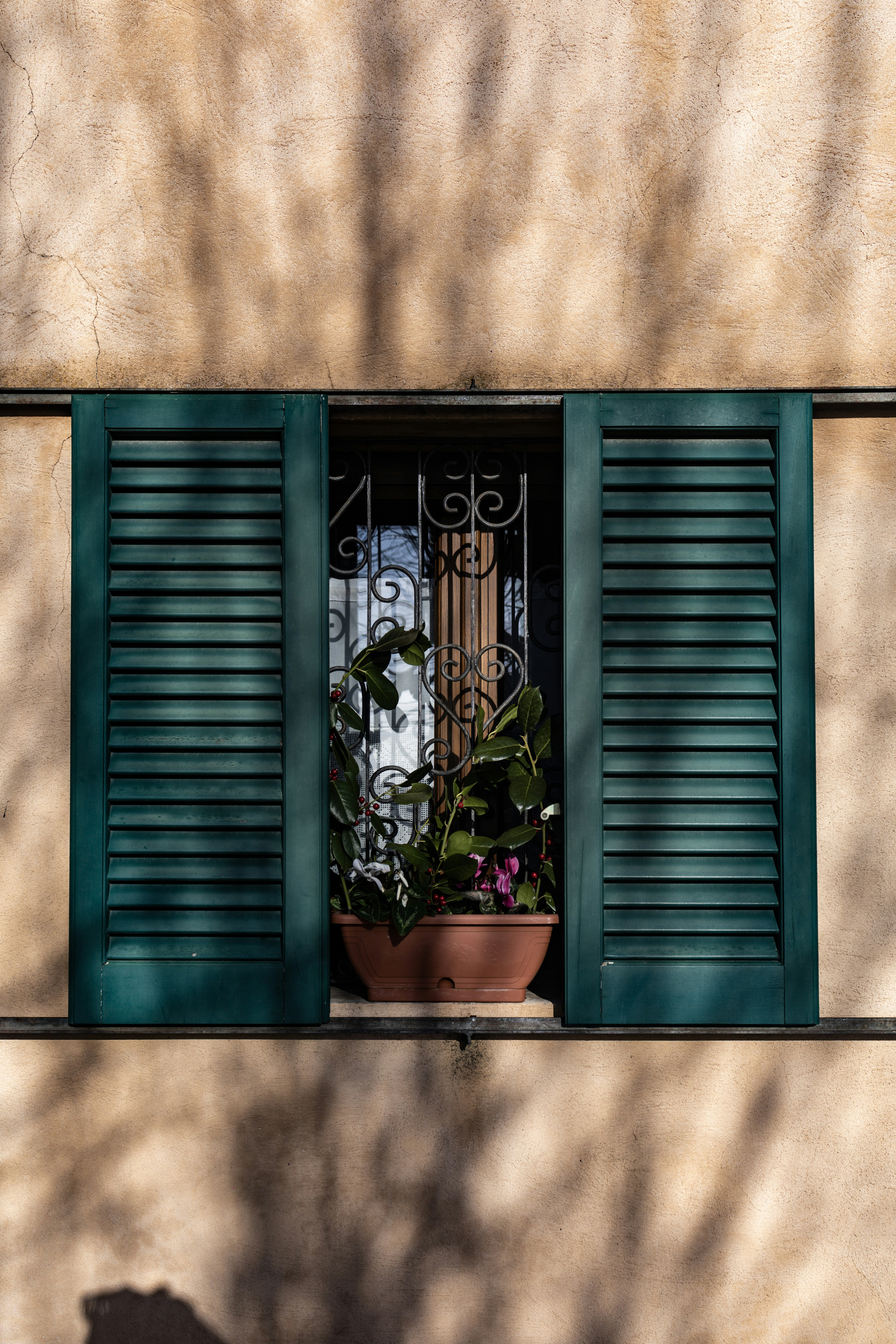 Teal-Shutter Window Garden: Potted Plant Framed by Wrought Iron and Sunlit Stucco
