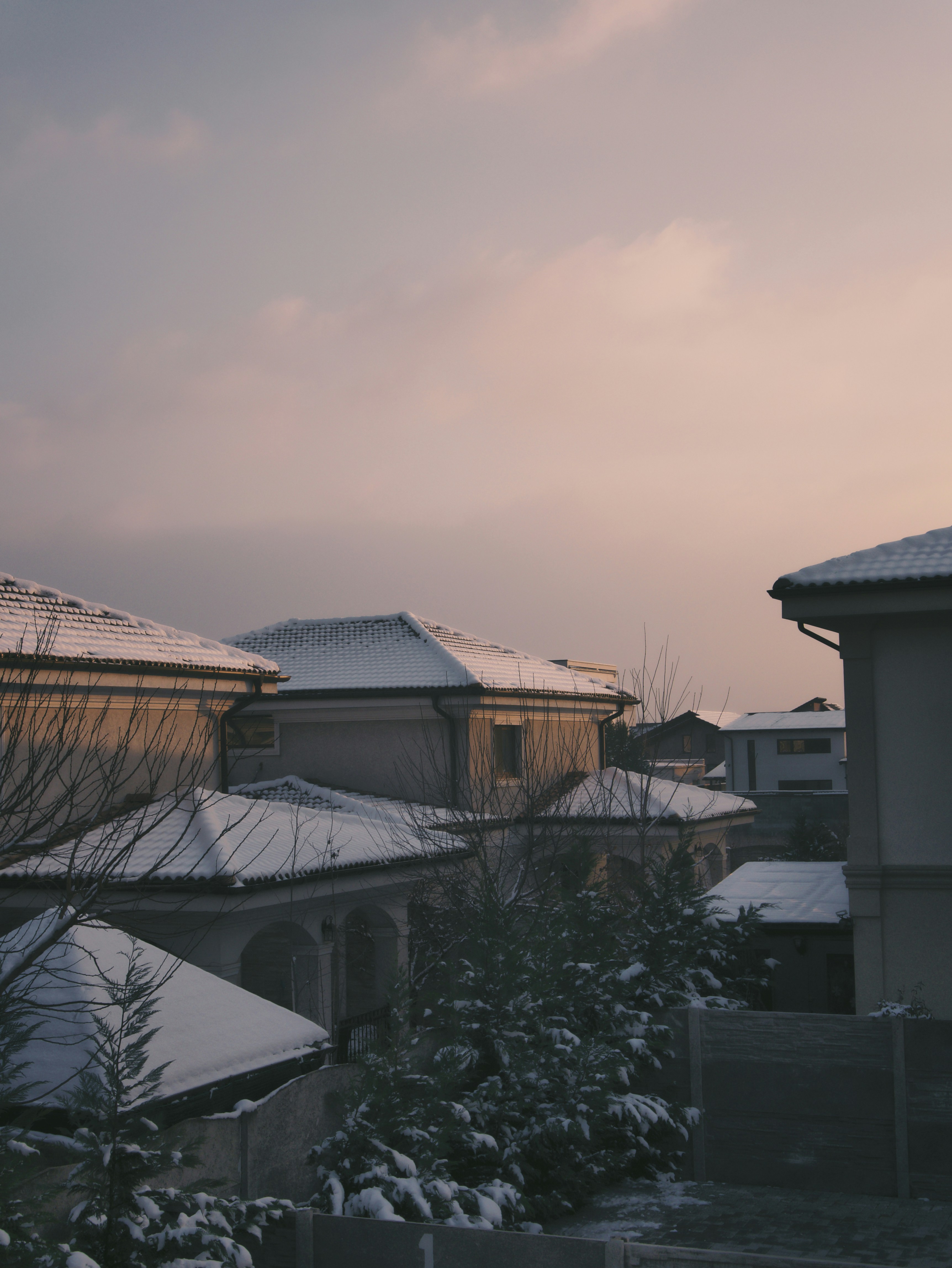 Whispers of Winter's Embrace