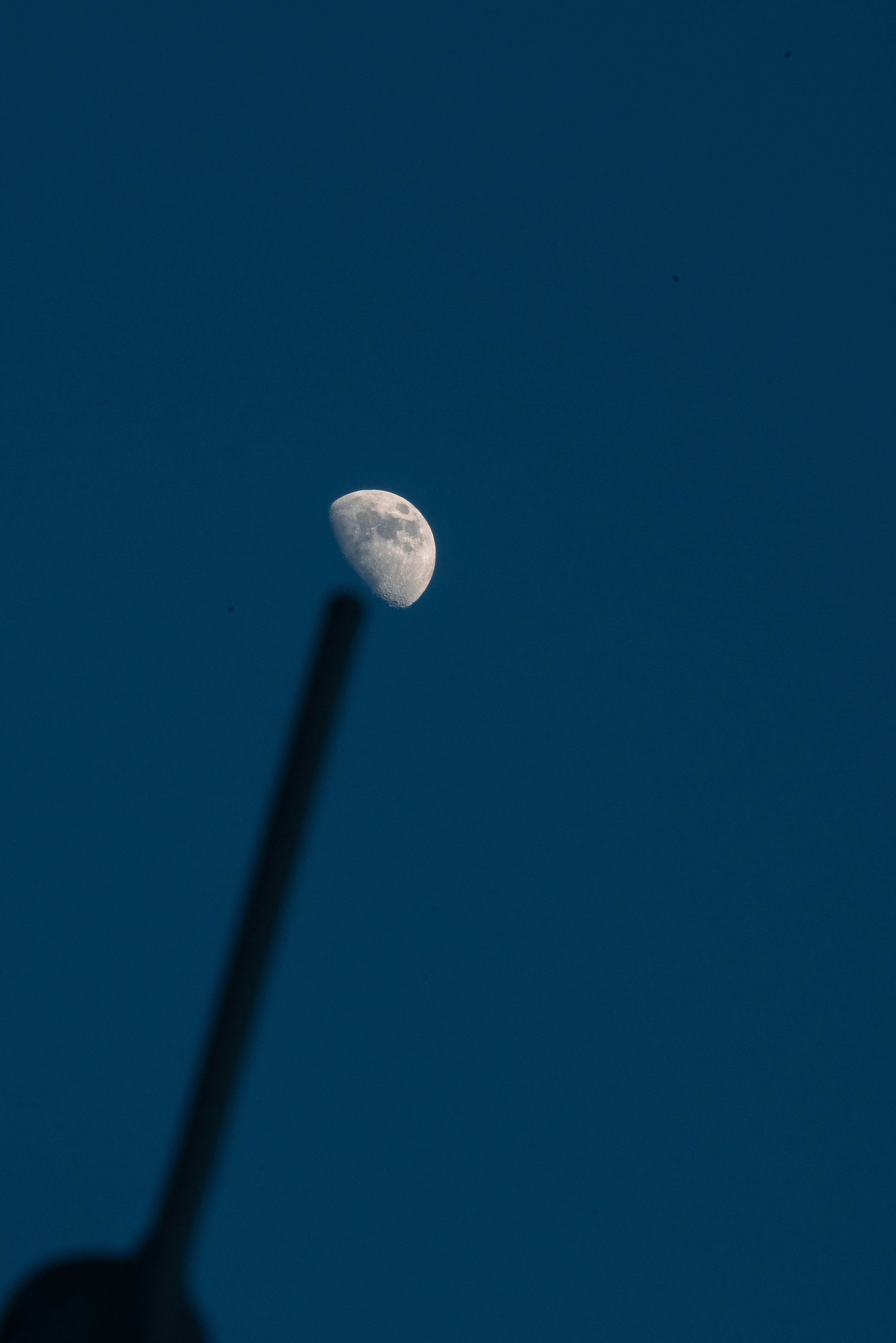 Moon on a Blue Horizon: Crescent Light Through a Foreground Silhouette