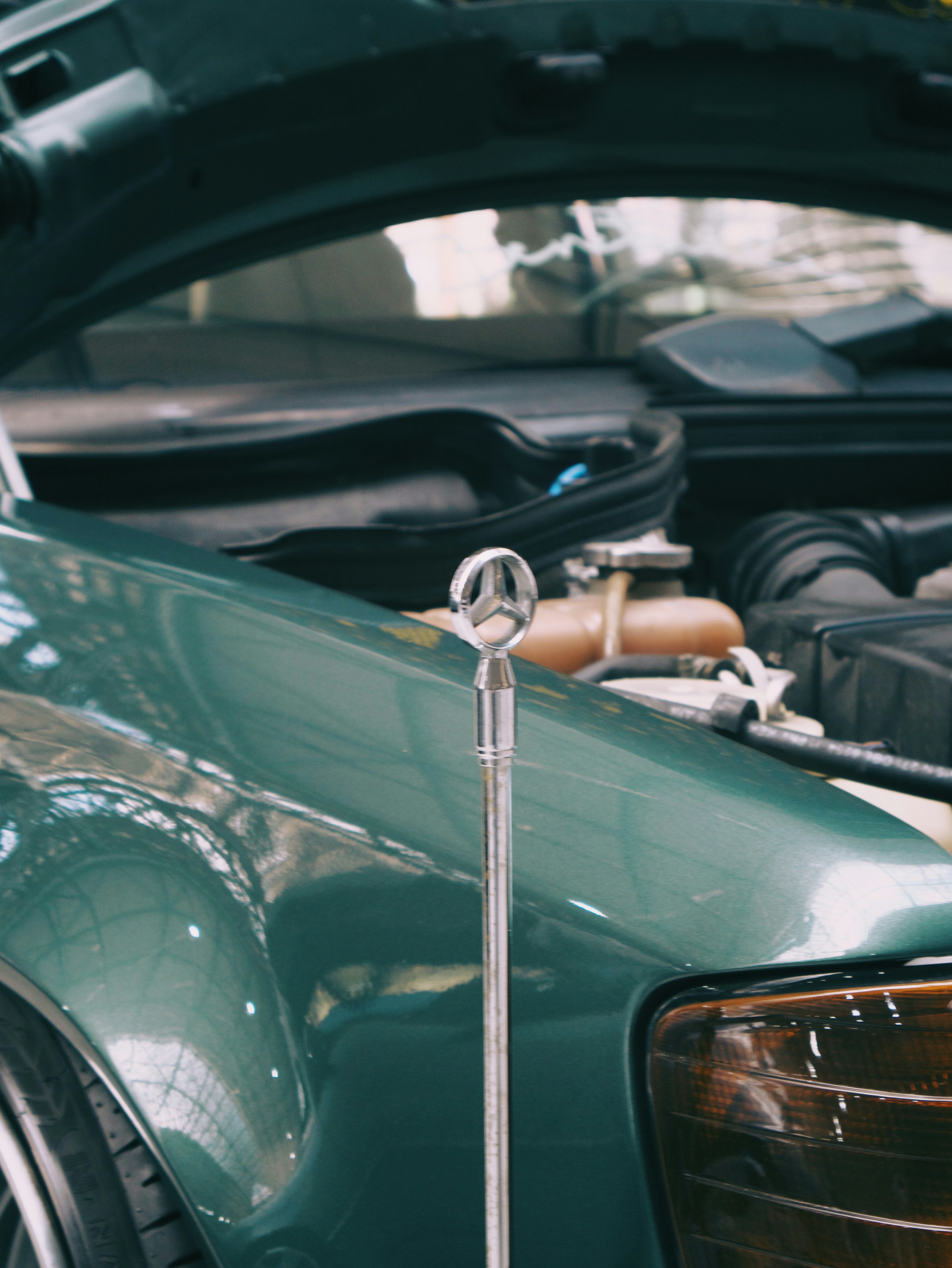 Green Majesty: Chrome Mercedes Hood Ornament Framed by the Open Engine Bay
