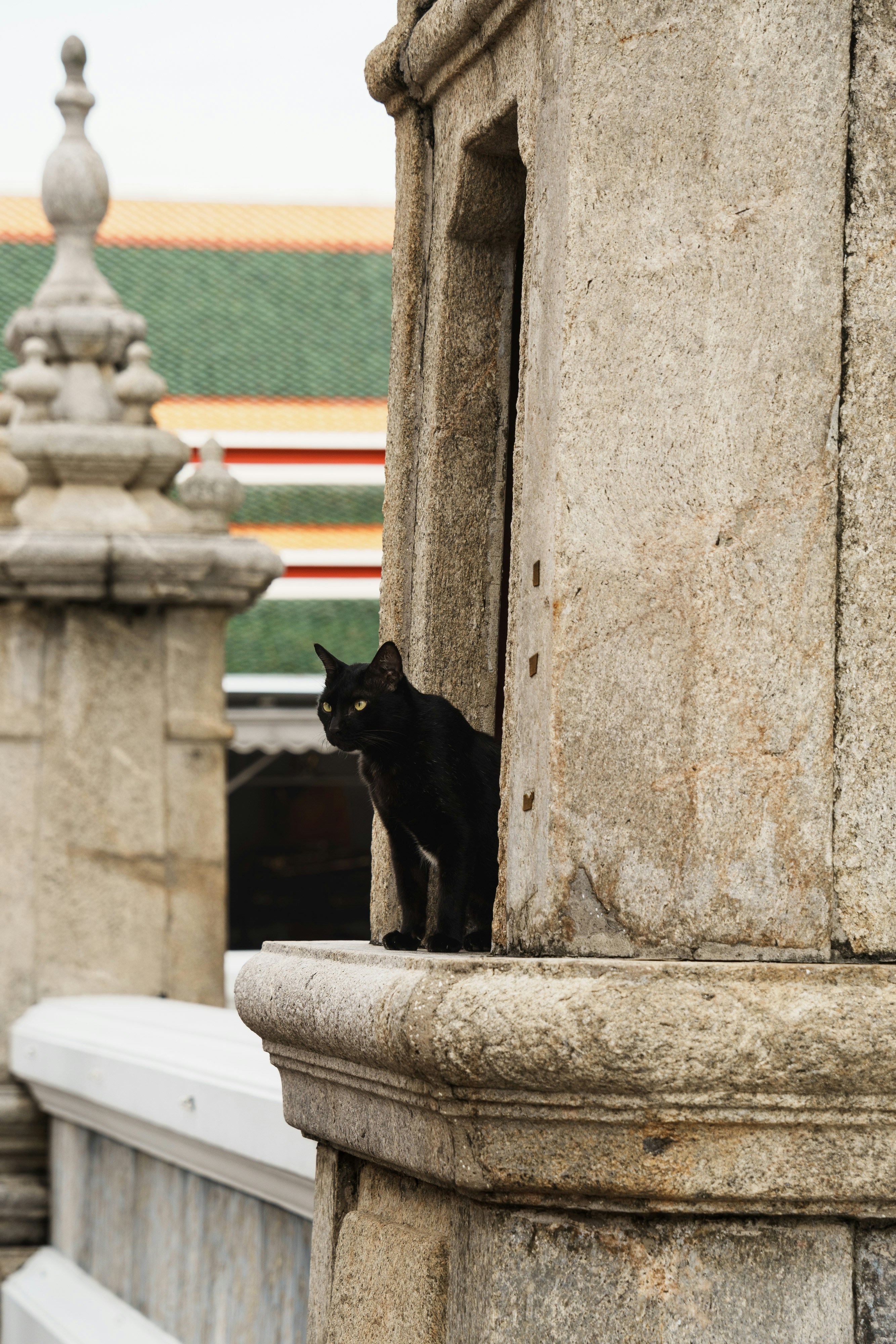 Black Cat on Stone Balcony Between Ancient Pillars